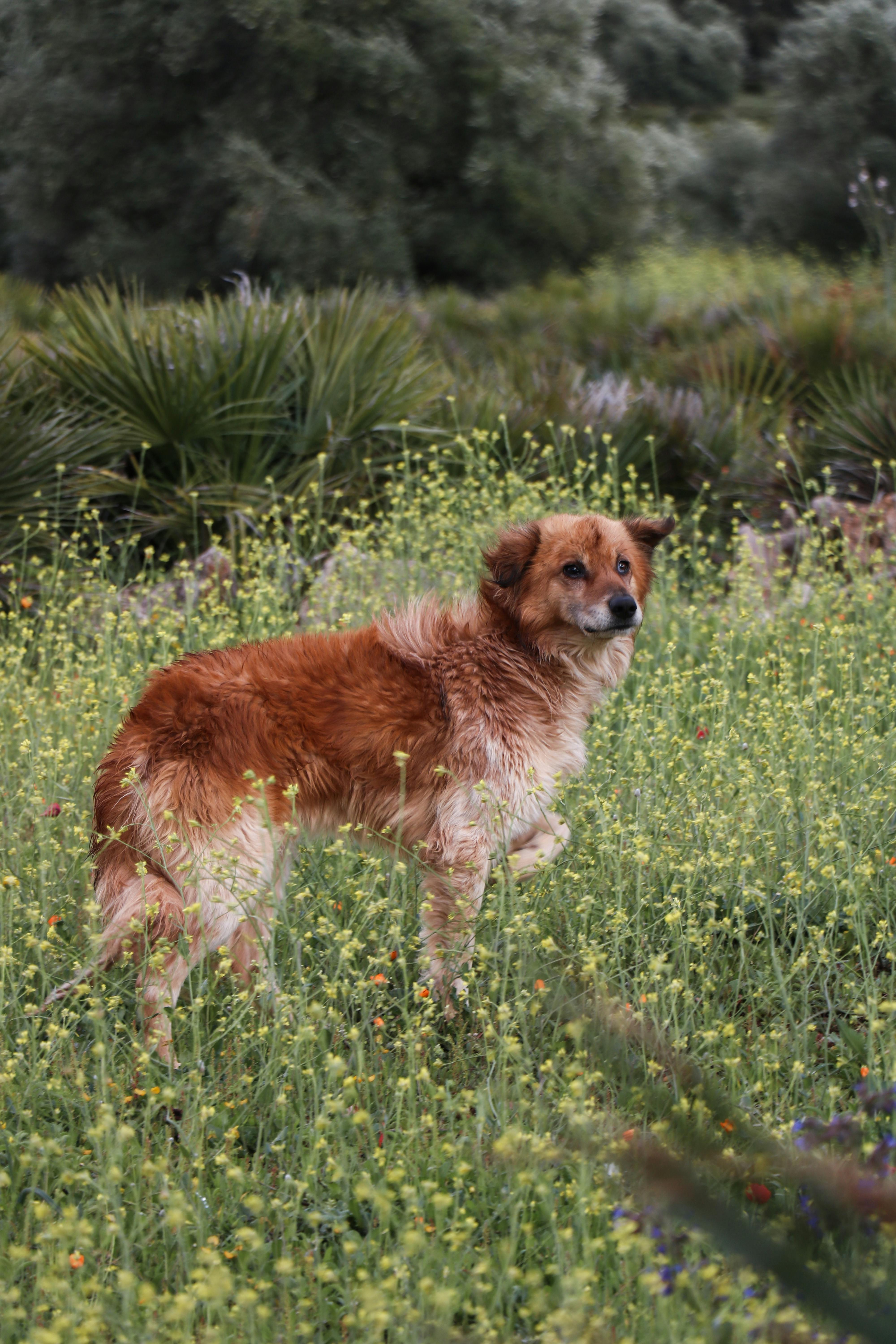 Free Open Source Photos, Download The BEST Free Free Open Source Stock ...