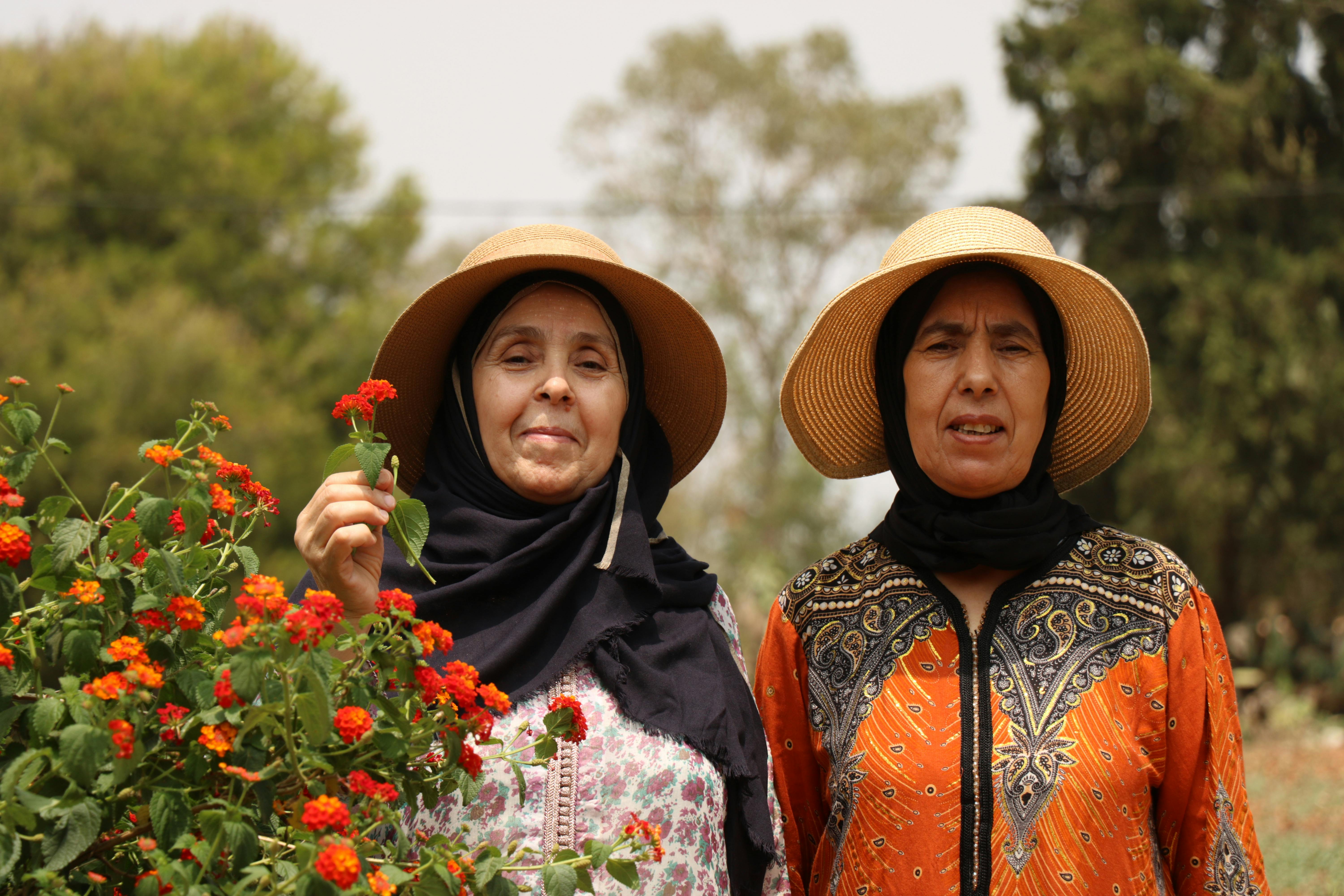 Amazigh Photos, Download The BEST Free Amazigh Stock Photos & HD Images