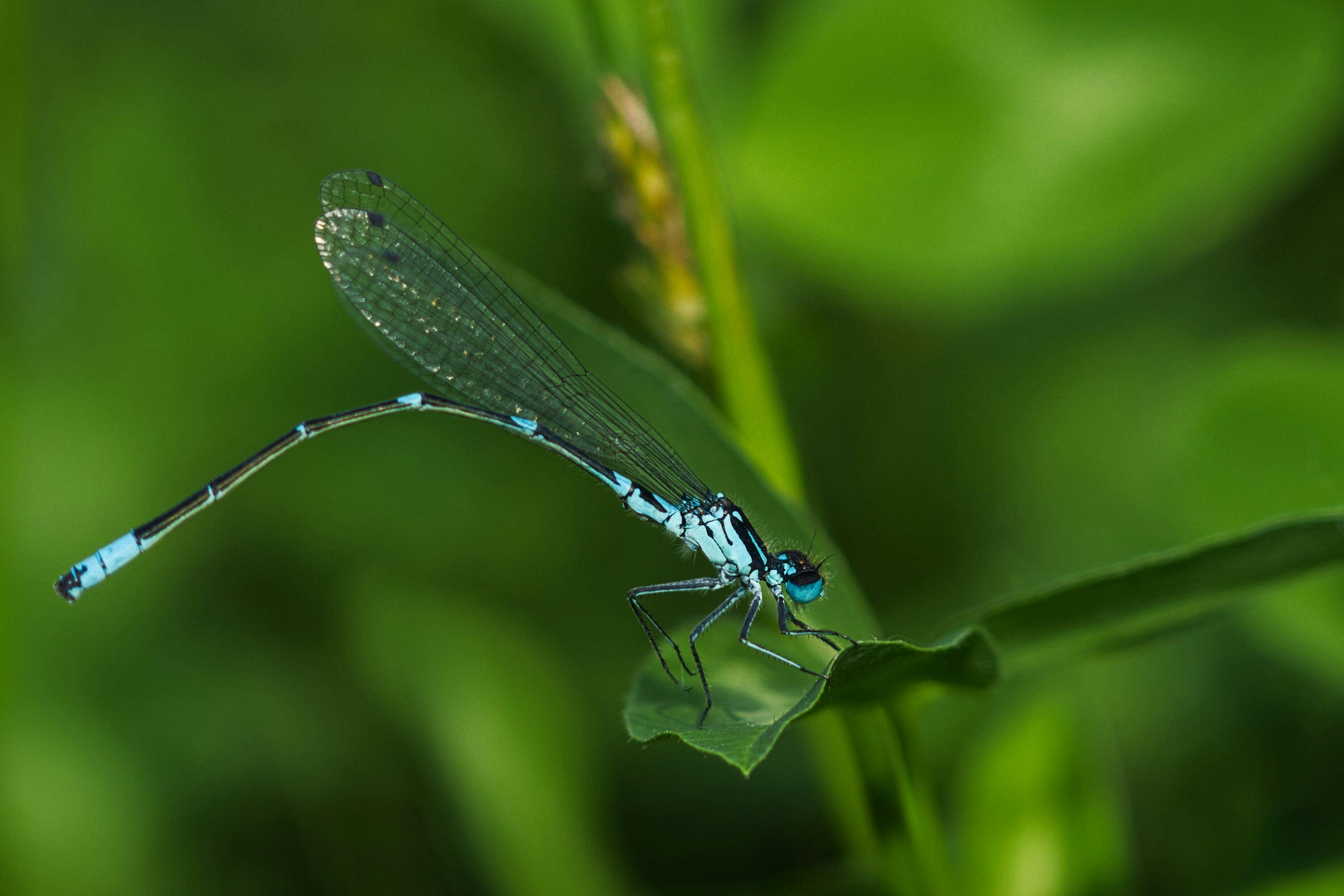Die besten Szép+puncik+képek-Fotos · Kostenlos Downloaden · Pexels ...