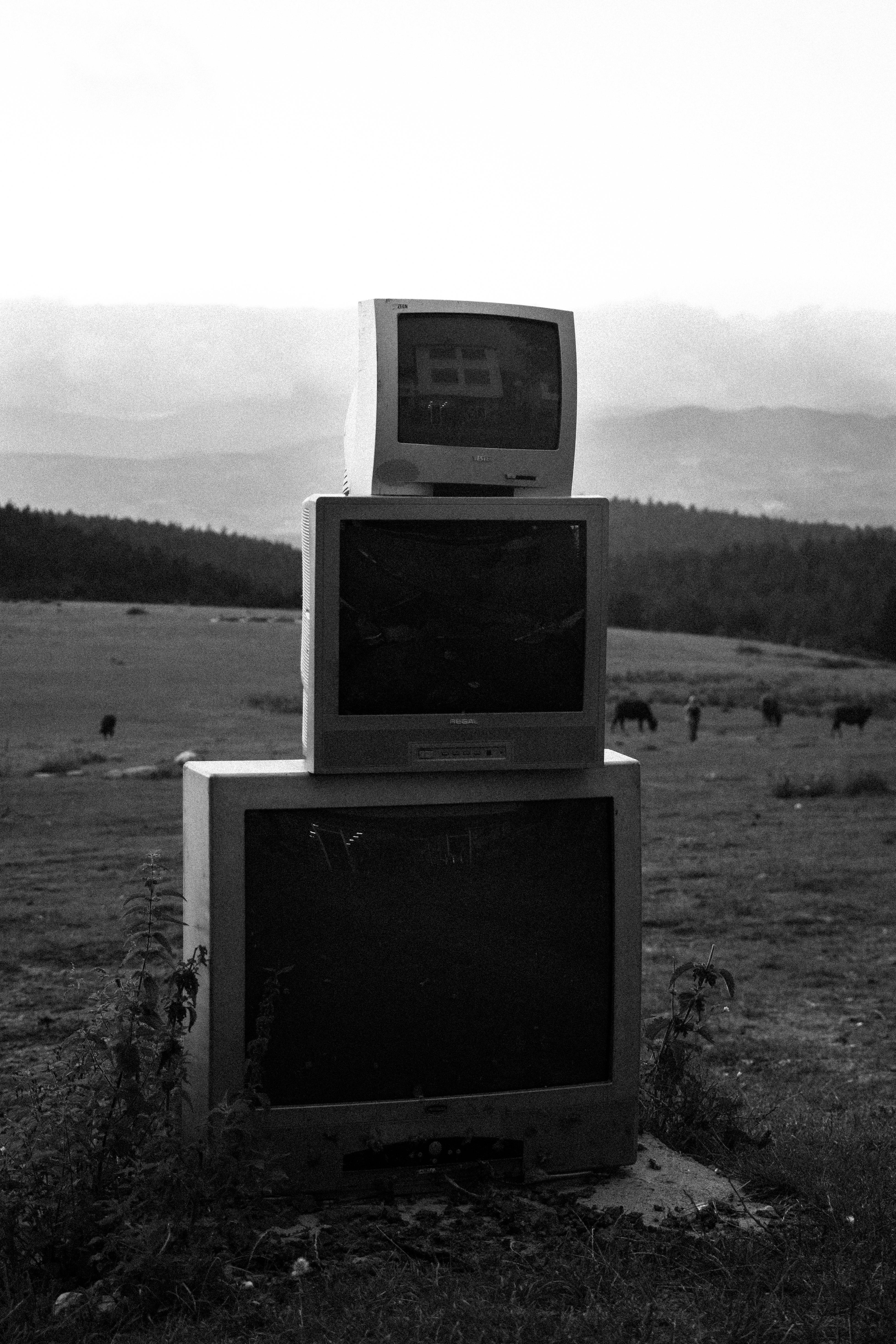 Foto stok gratis tentang abadi, adegan nostalgia, alam, analog ...