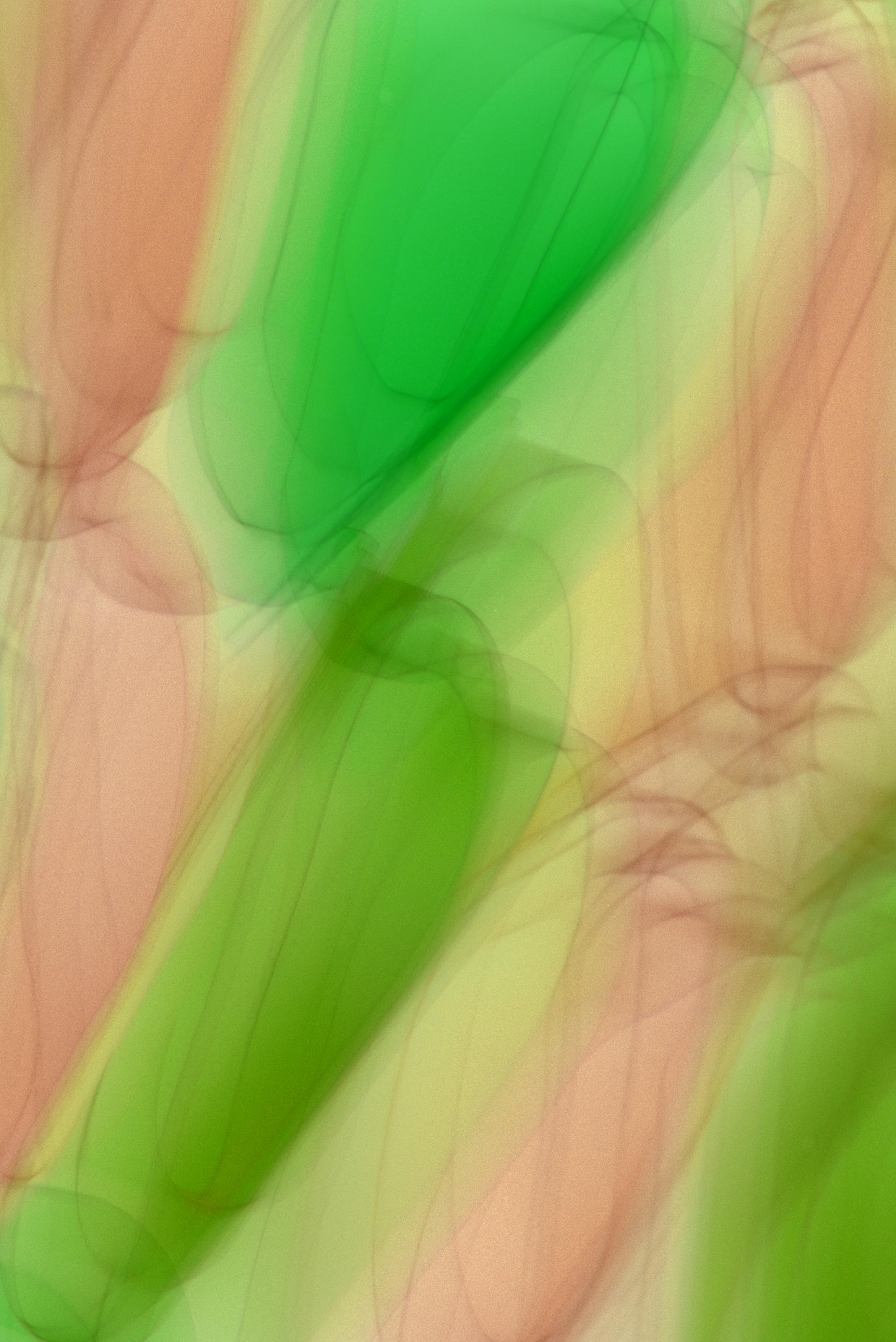 Green Layer Photos, Download The BEST Free Green Layer Stock Photos ...