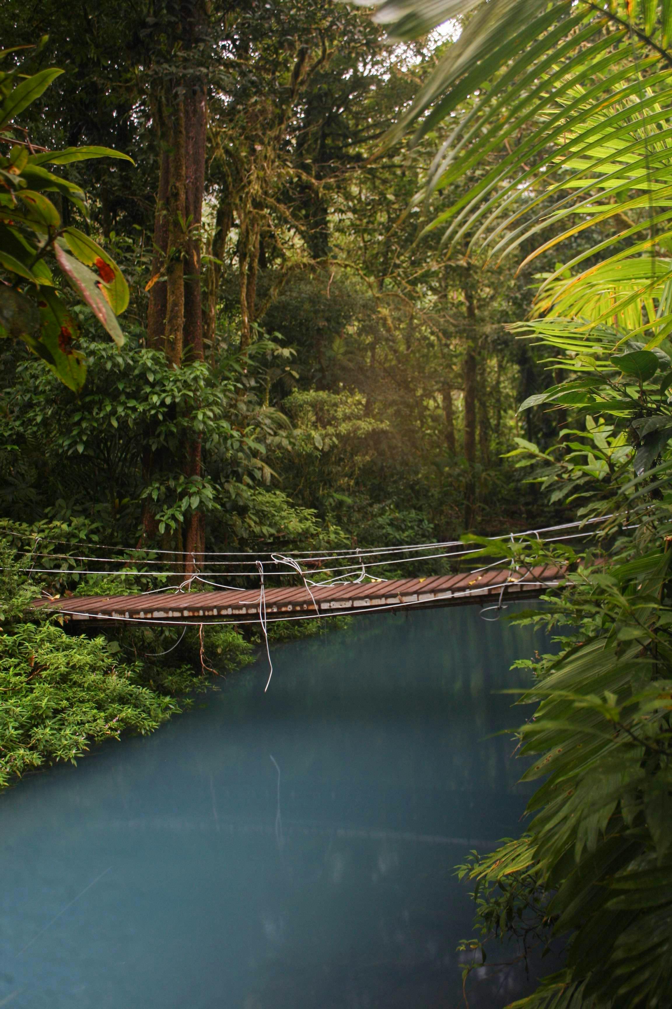 San Rio Photos, Download The BEST Free San Rio Stock Photos & HD Images