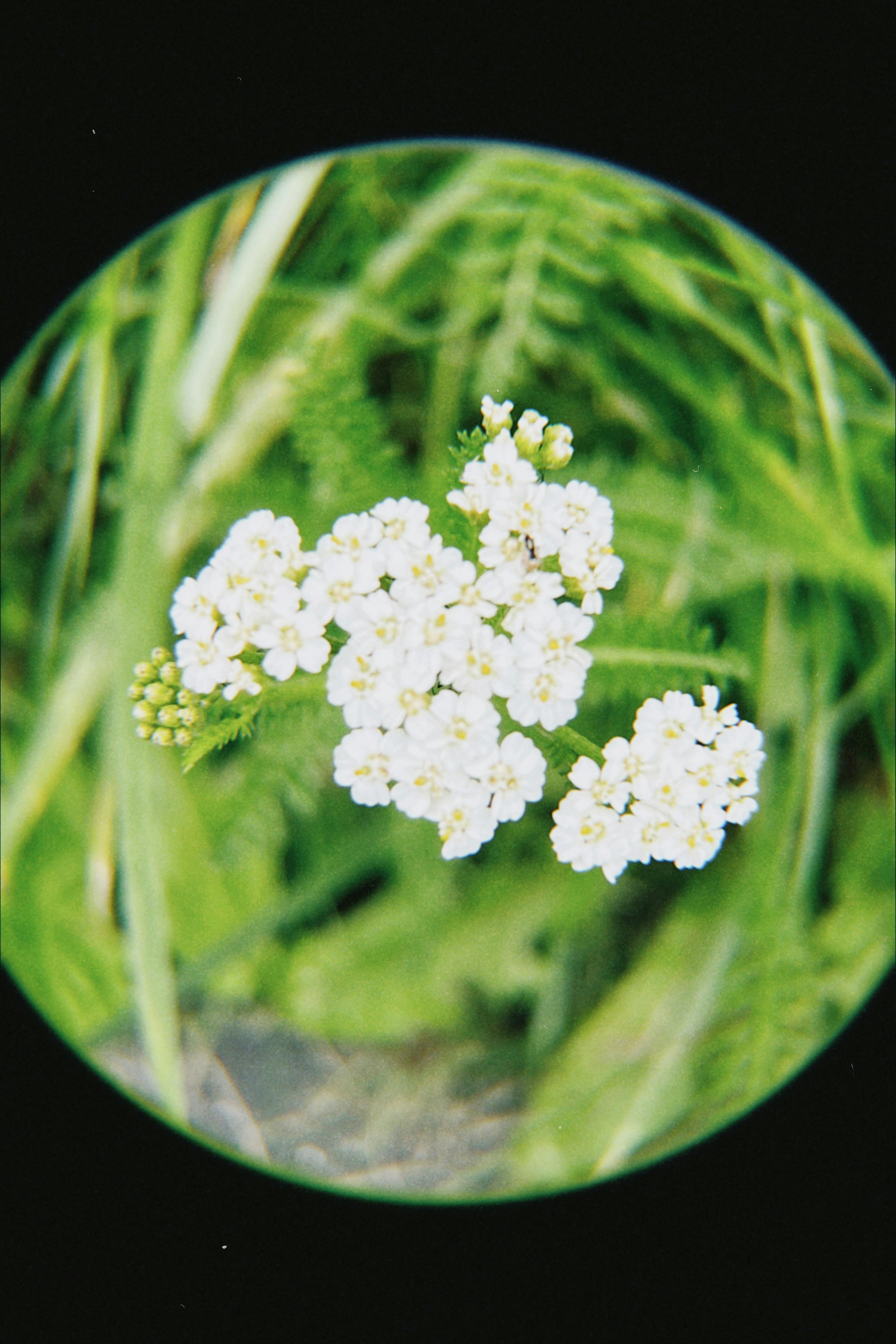 Greater Than 20mb Photos, Download The BEST Free Greater Than 20mb ...