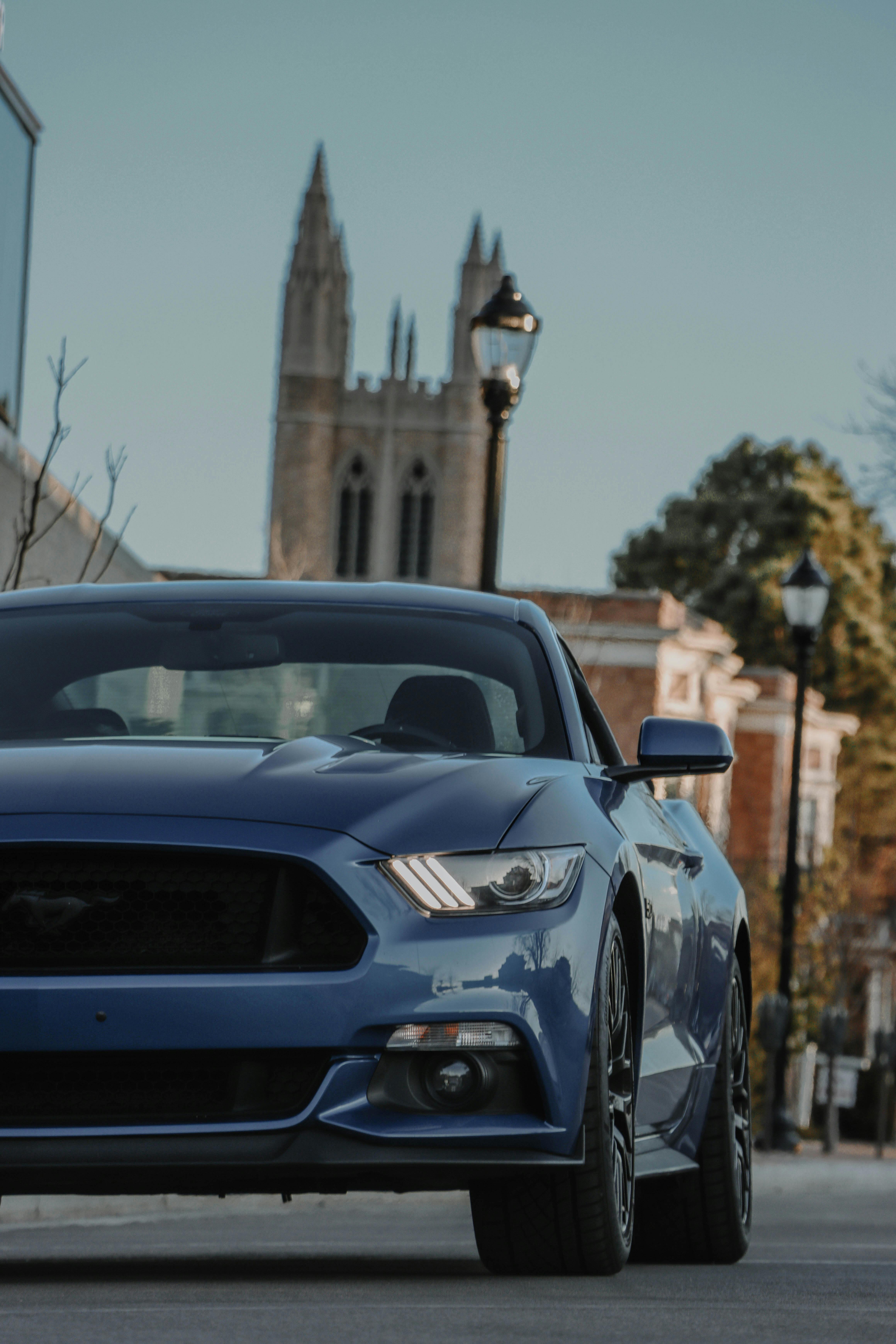 Ford Mustang Photos, Download The BEST Free Ford Mustang Stock Photos ...
