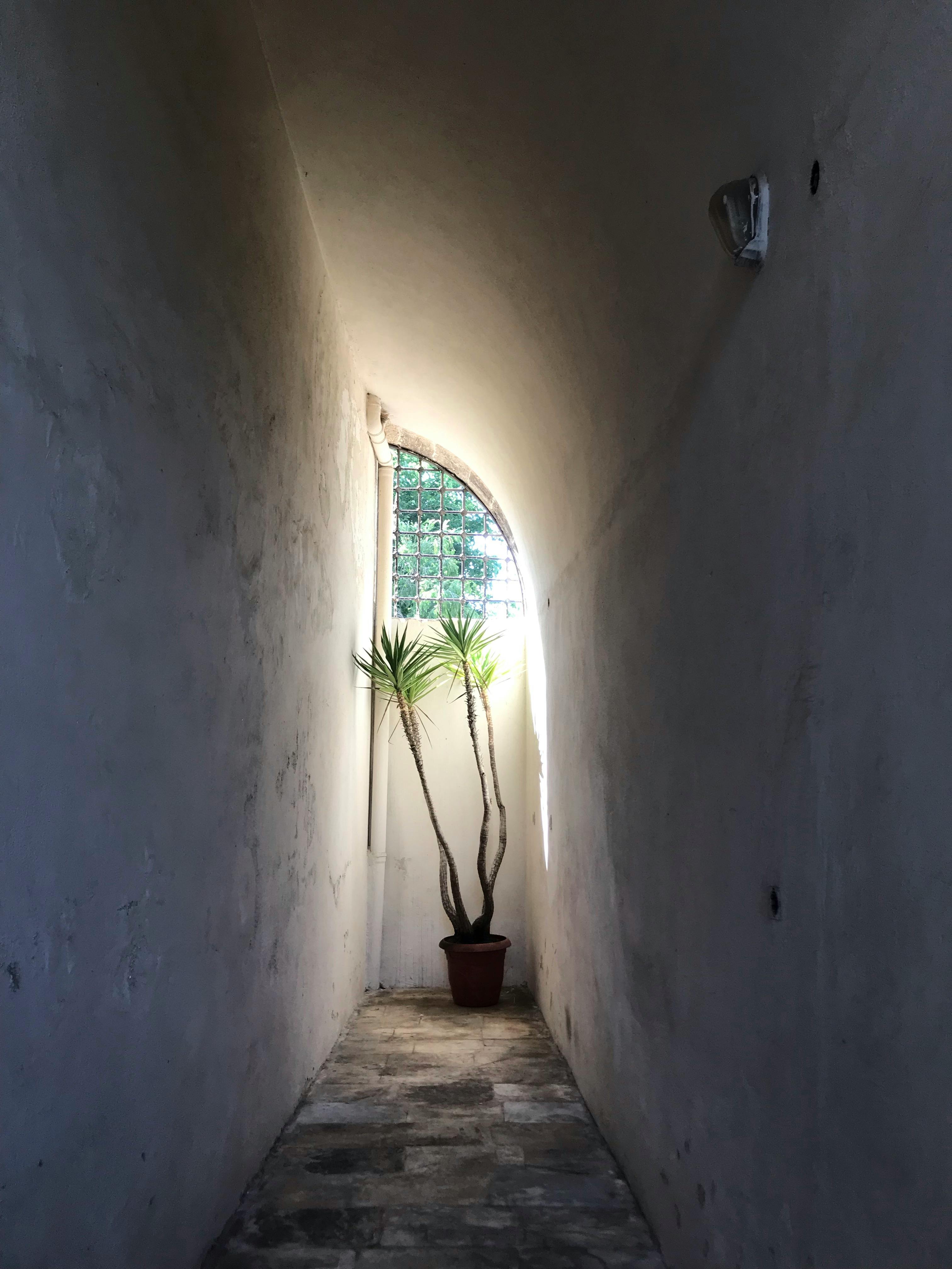 Direct Line Home Insurance: Why It’s Your Best Protection Choice