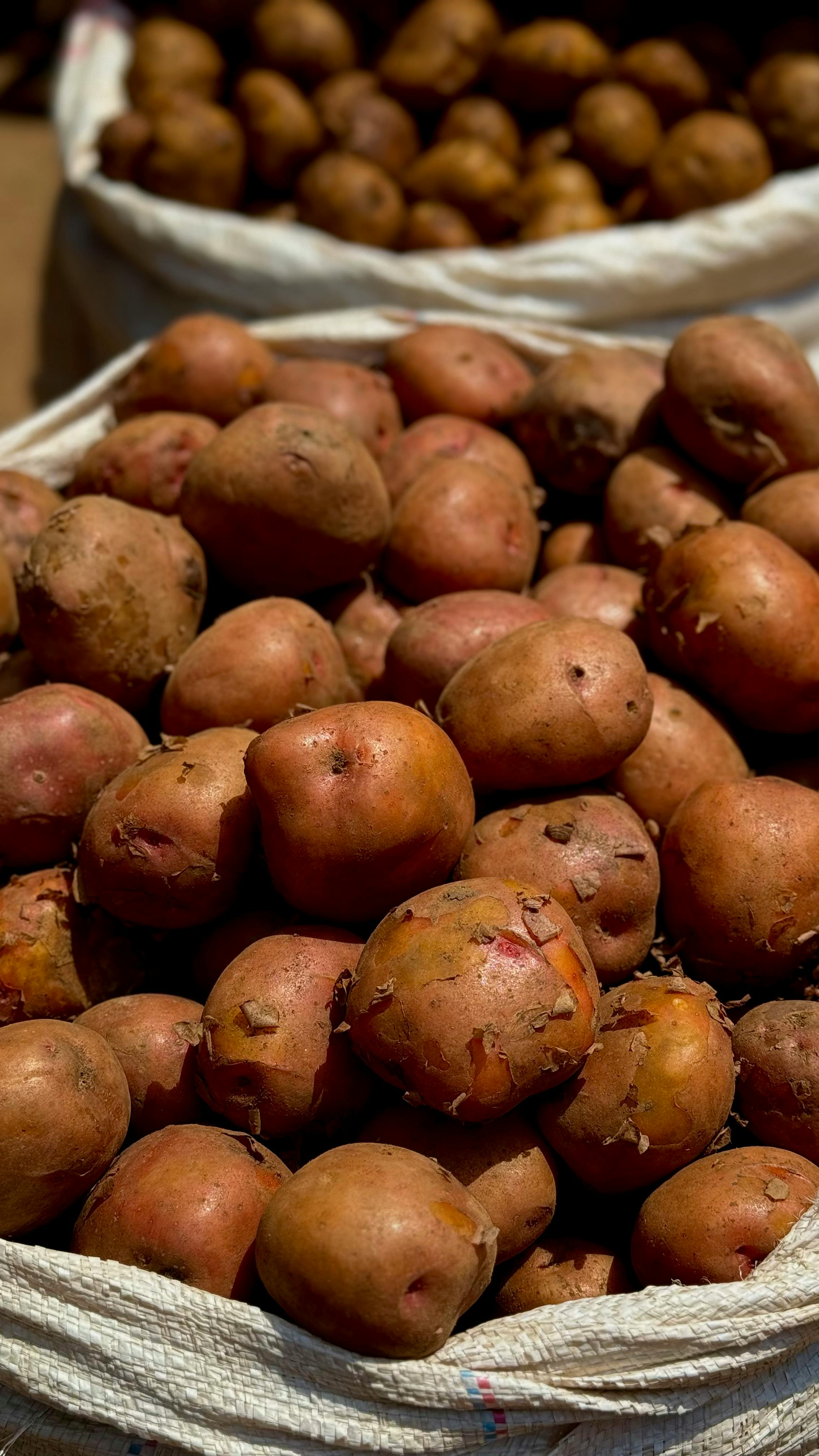 Photo Of Potatoes On A Fabric · Free Stock Photo