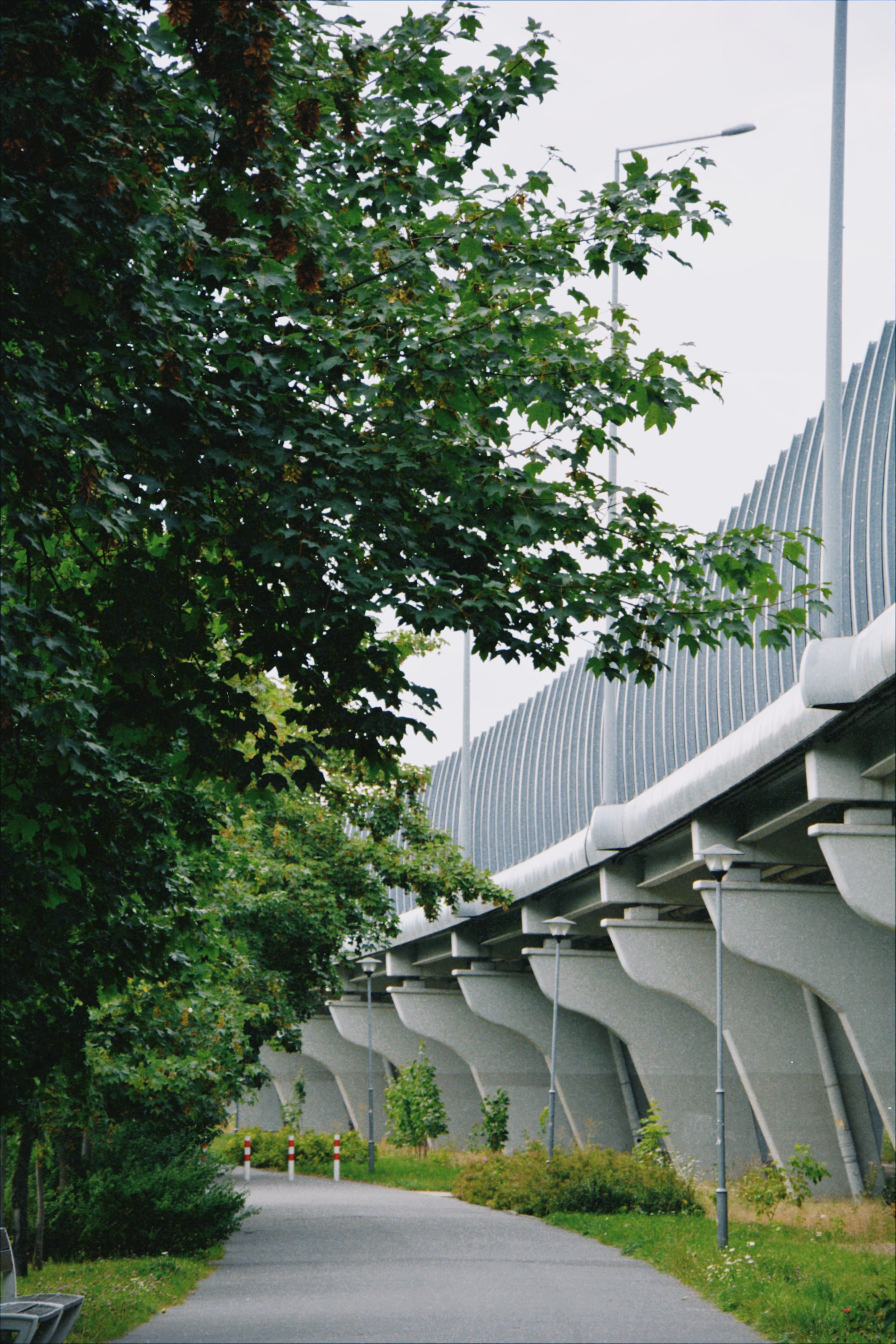 A walkway under a bridge with trees and grass · Free Stock Photo