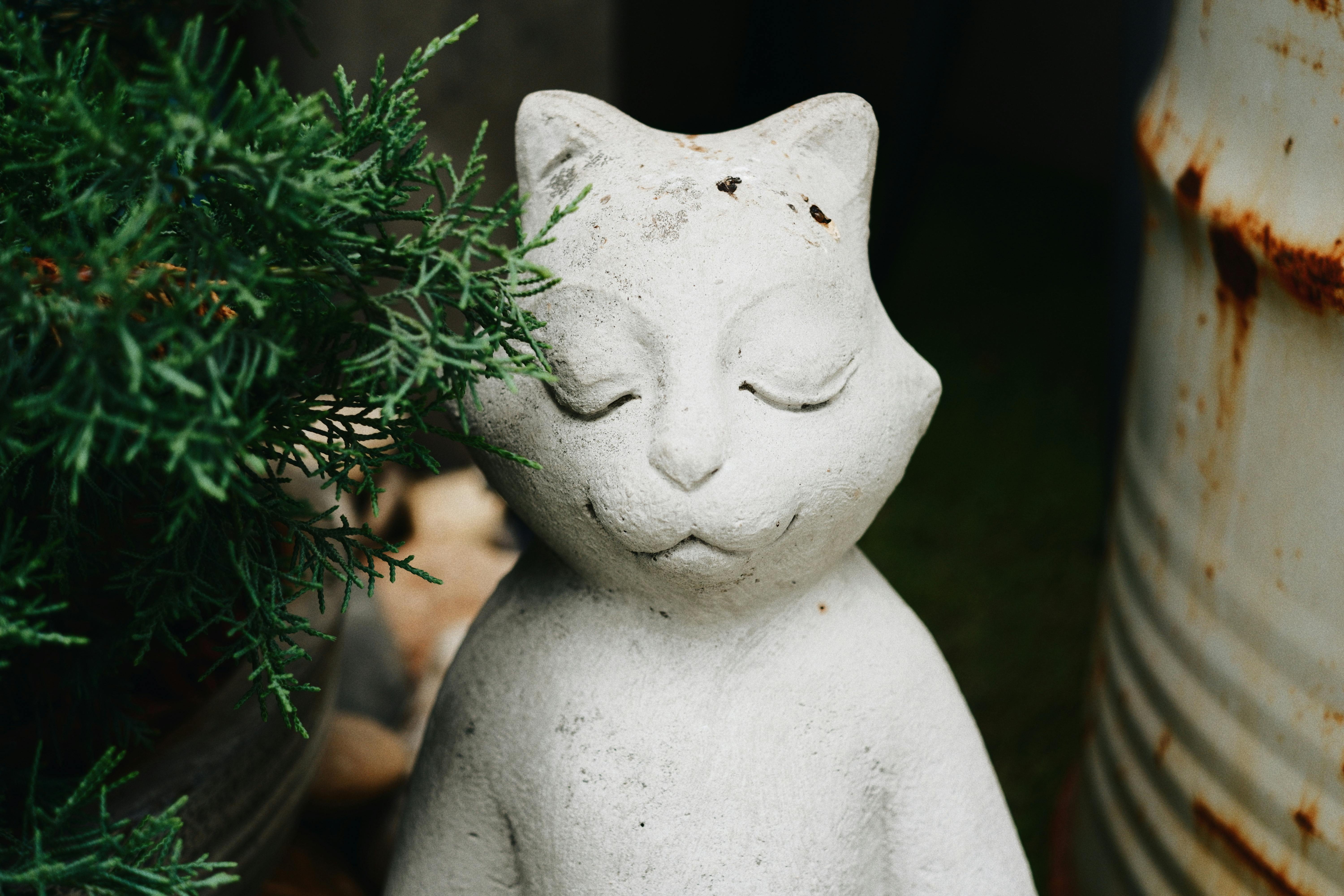 Red and Gold Lucky Cat Figurine · Free Stock Photo