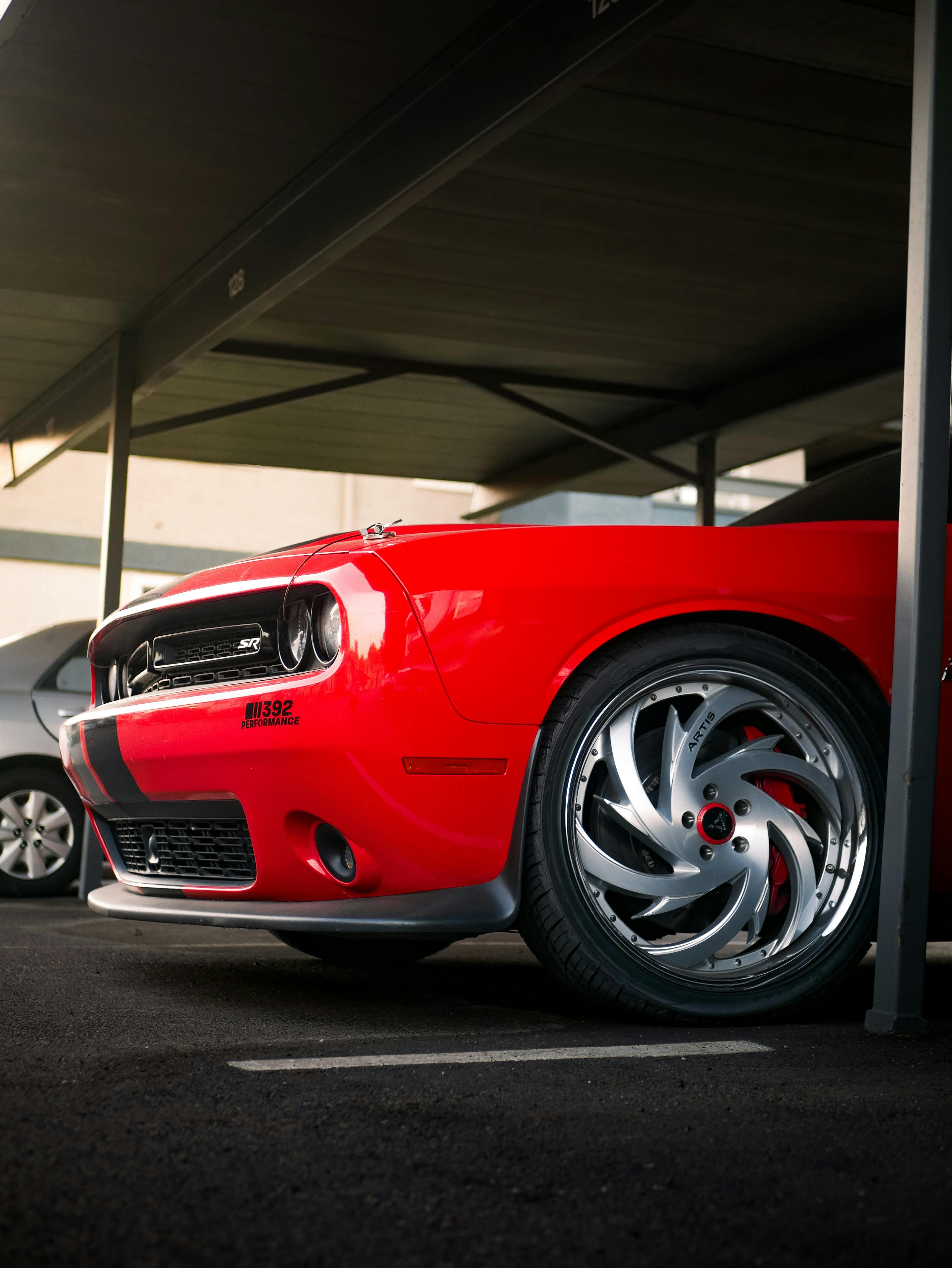 Srt的头像 Photos, Download The BEST Free Srt的头像 Stock Photos & HD Images