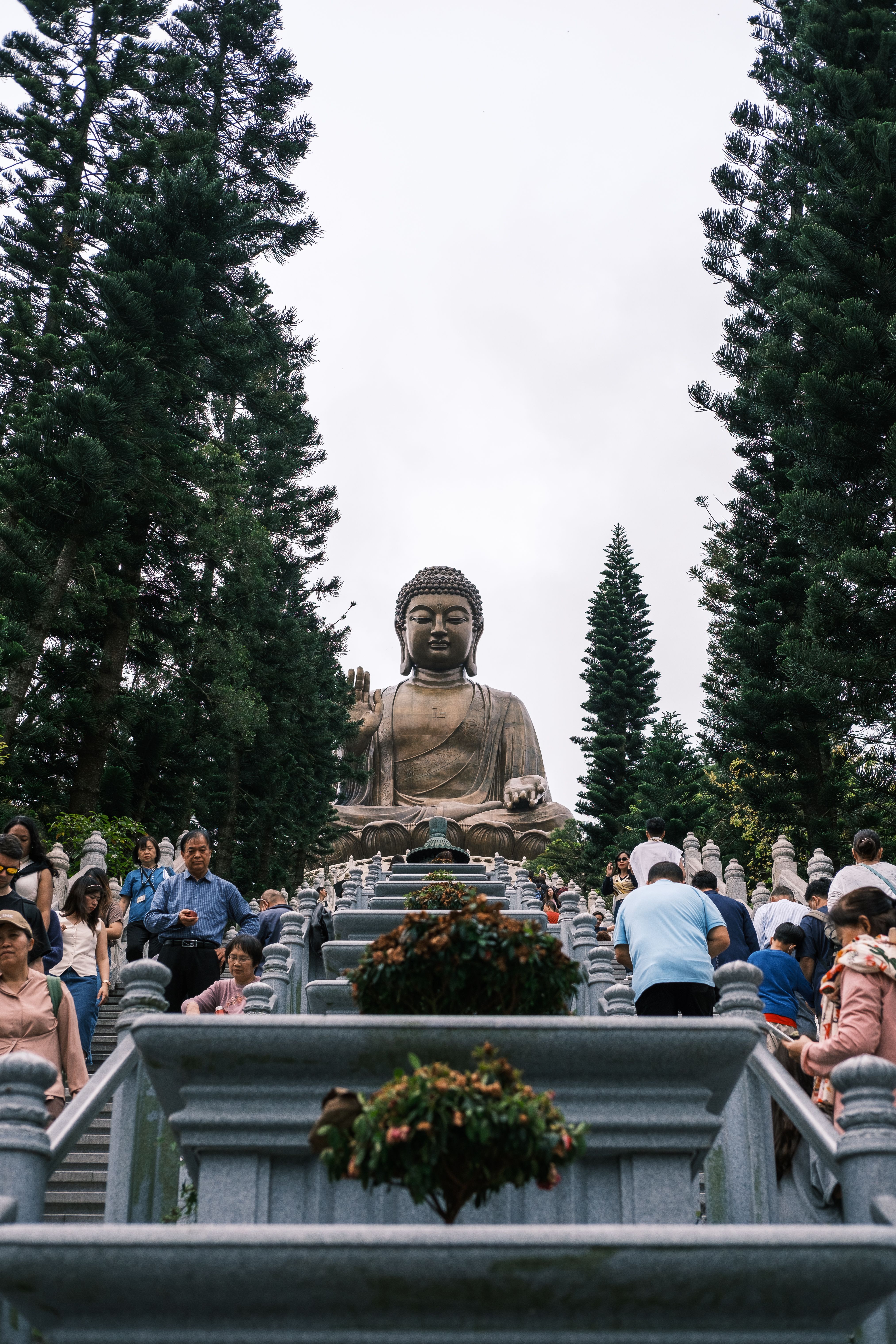 Zen Hong Photos, Download The BEST Free Zen Hong Stock Photos & HD Images