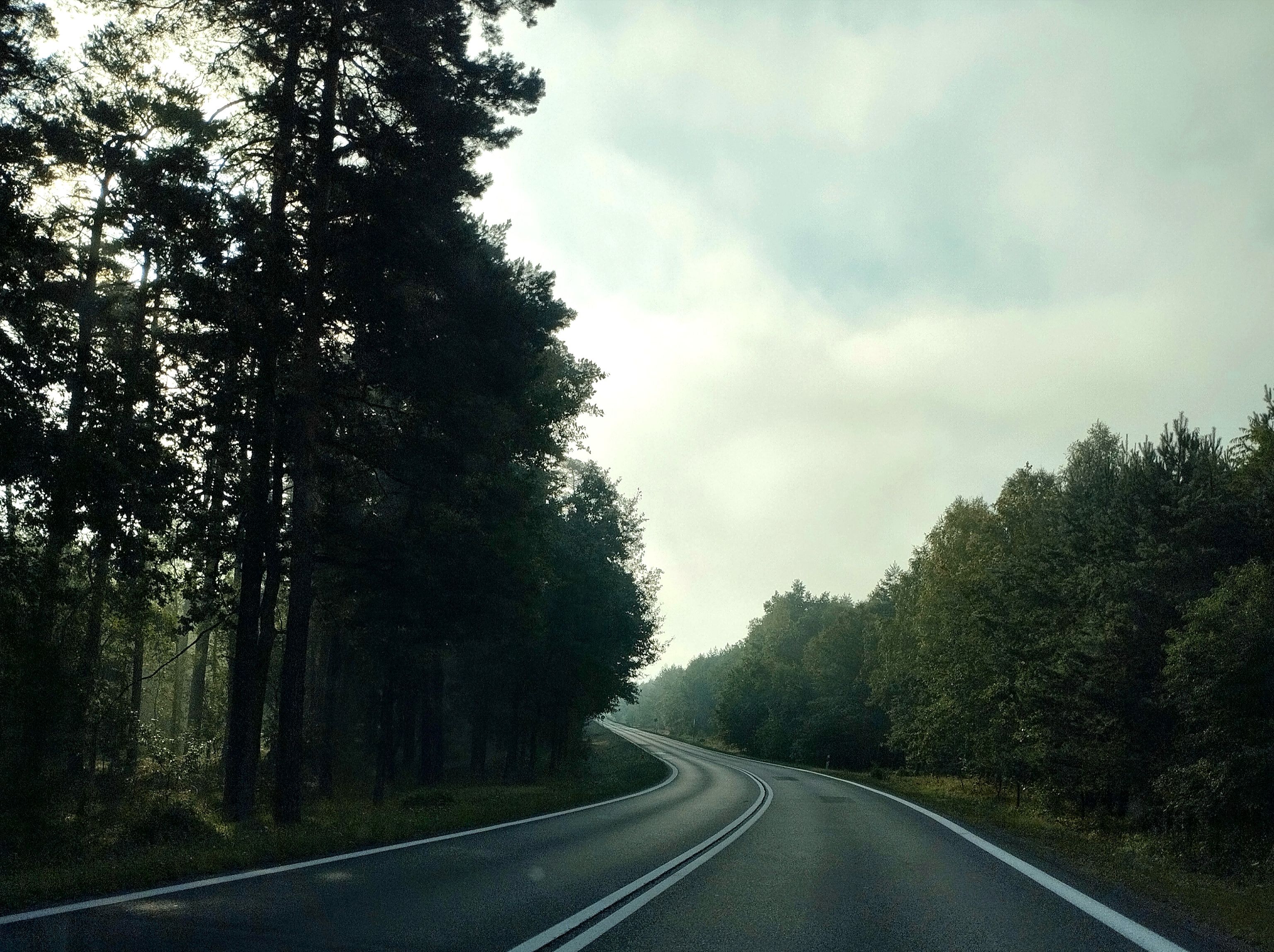 way · Free Stock Photo