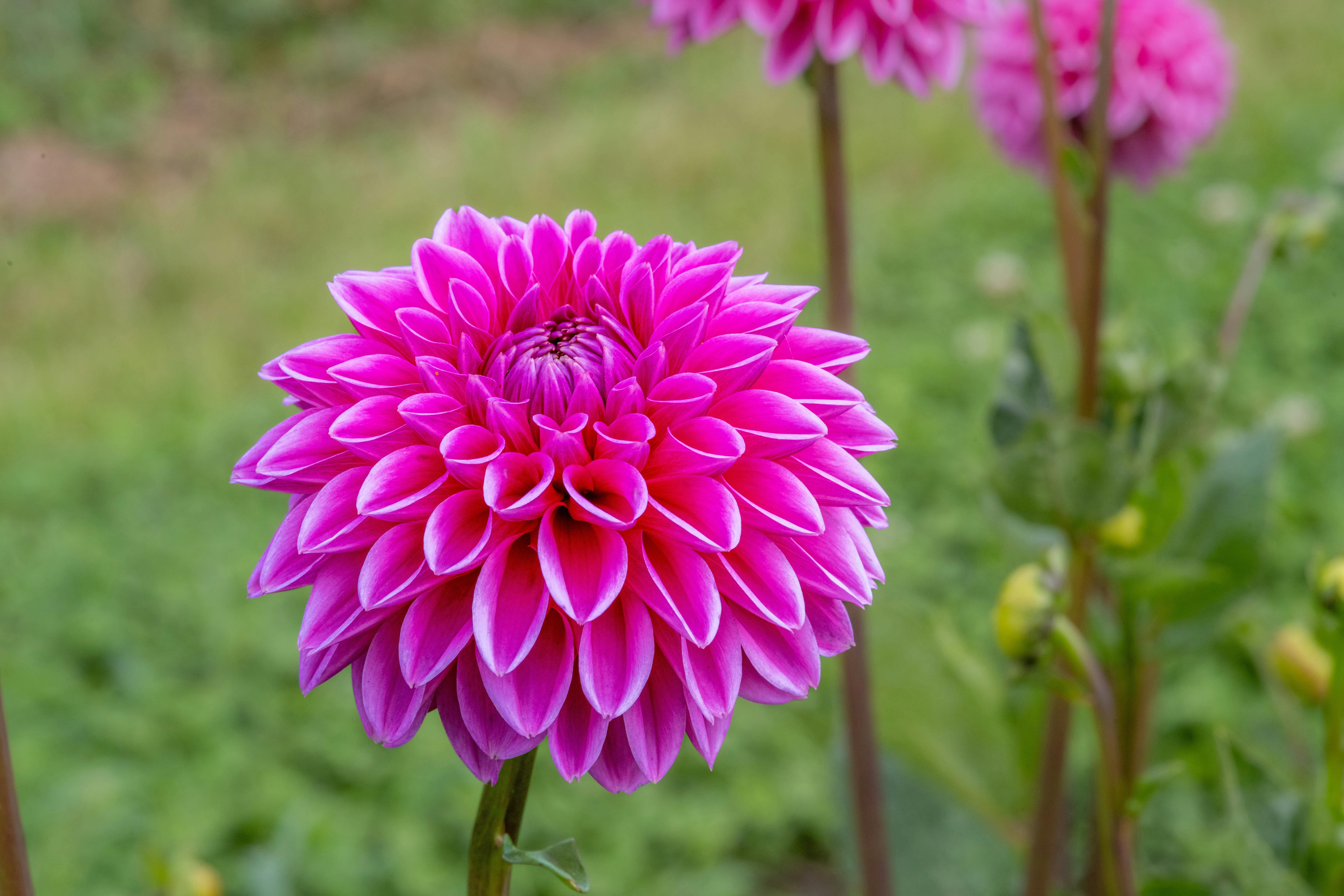 Imagine de stoc gratuită cu 4k hintergrundbild, amenajare a ...