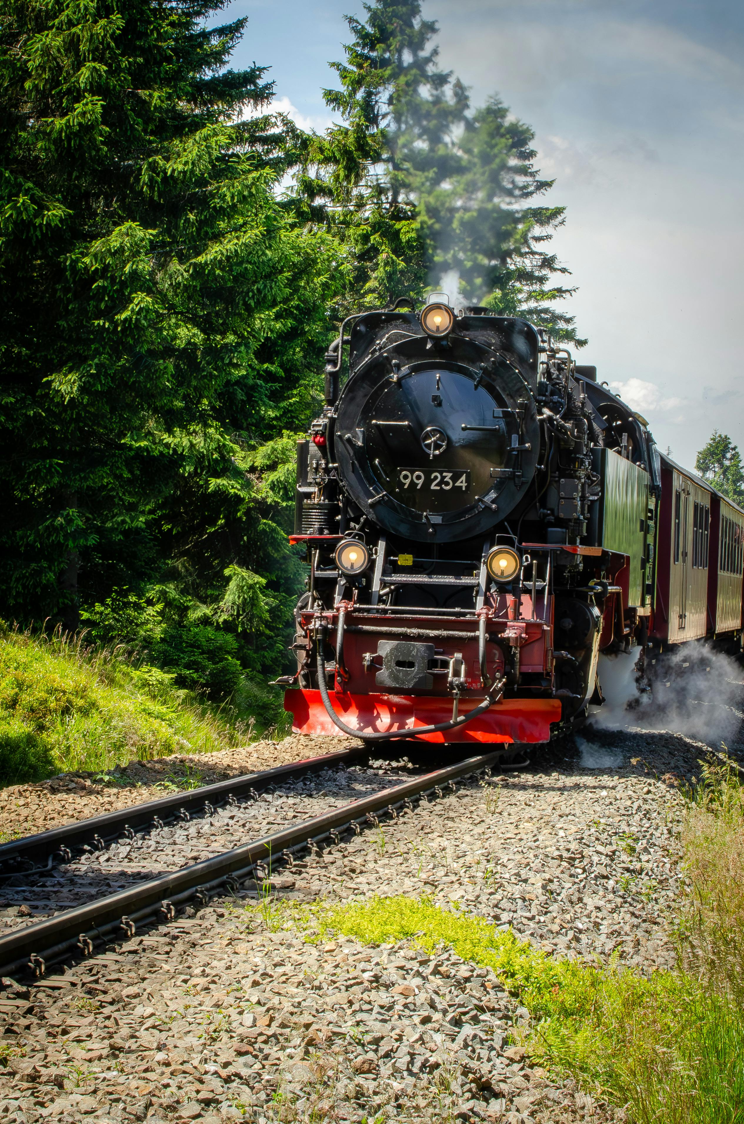 Train on Railway Riding Through a Forest · Free Stock Photo