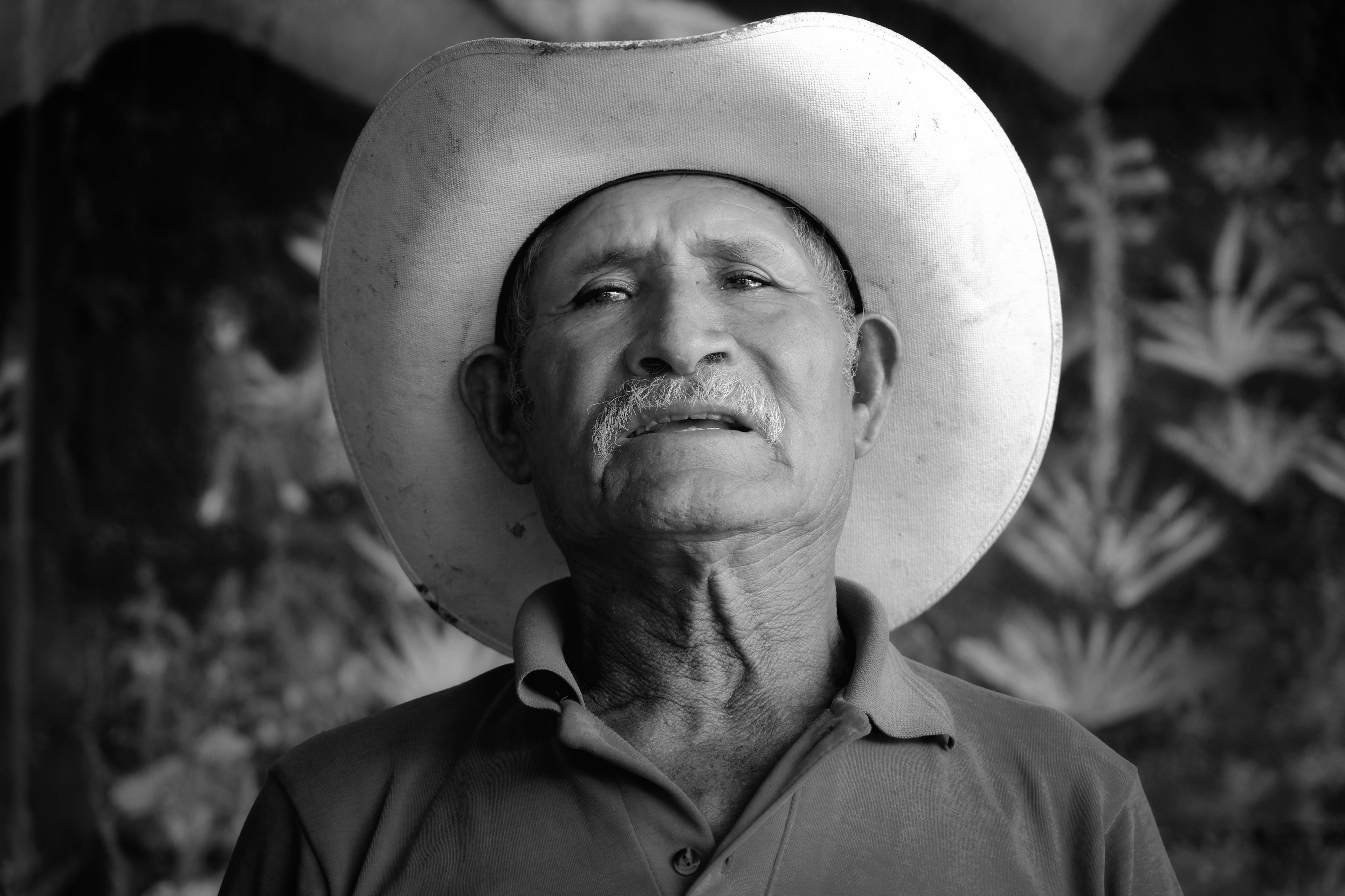 Older Hispanic Men Photos, Download The BEST Free Older Hispanic Men ...