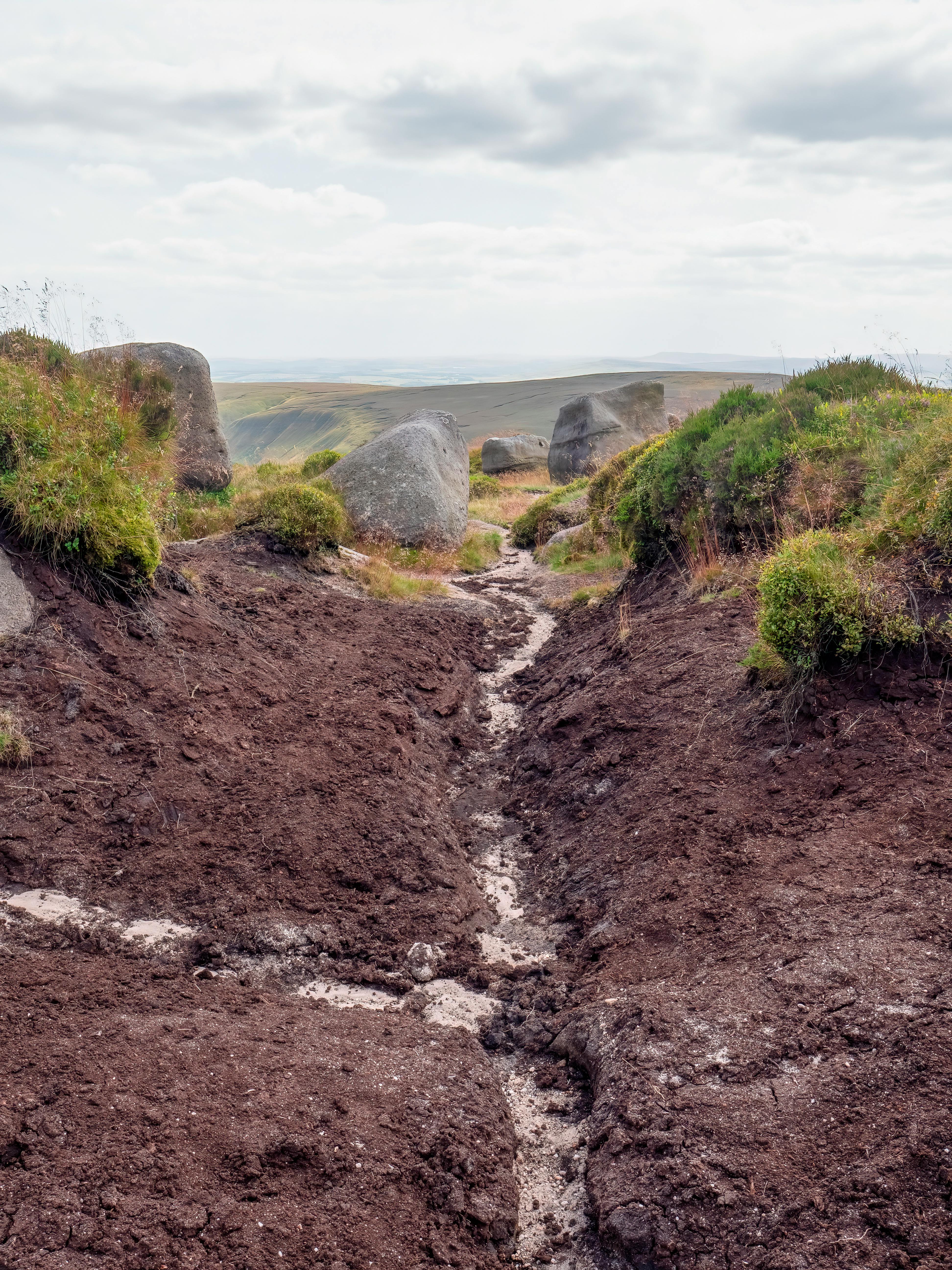A dirt road with rocks and grass in the middle · Free Stock Photo