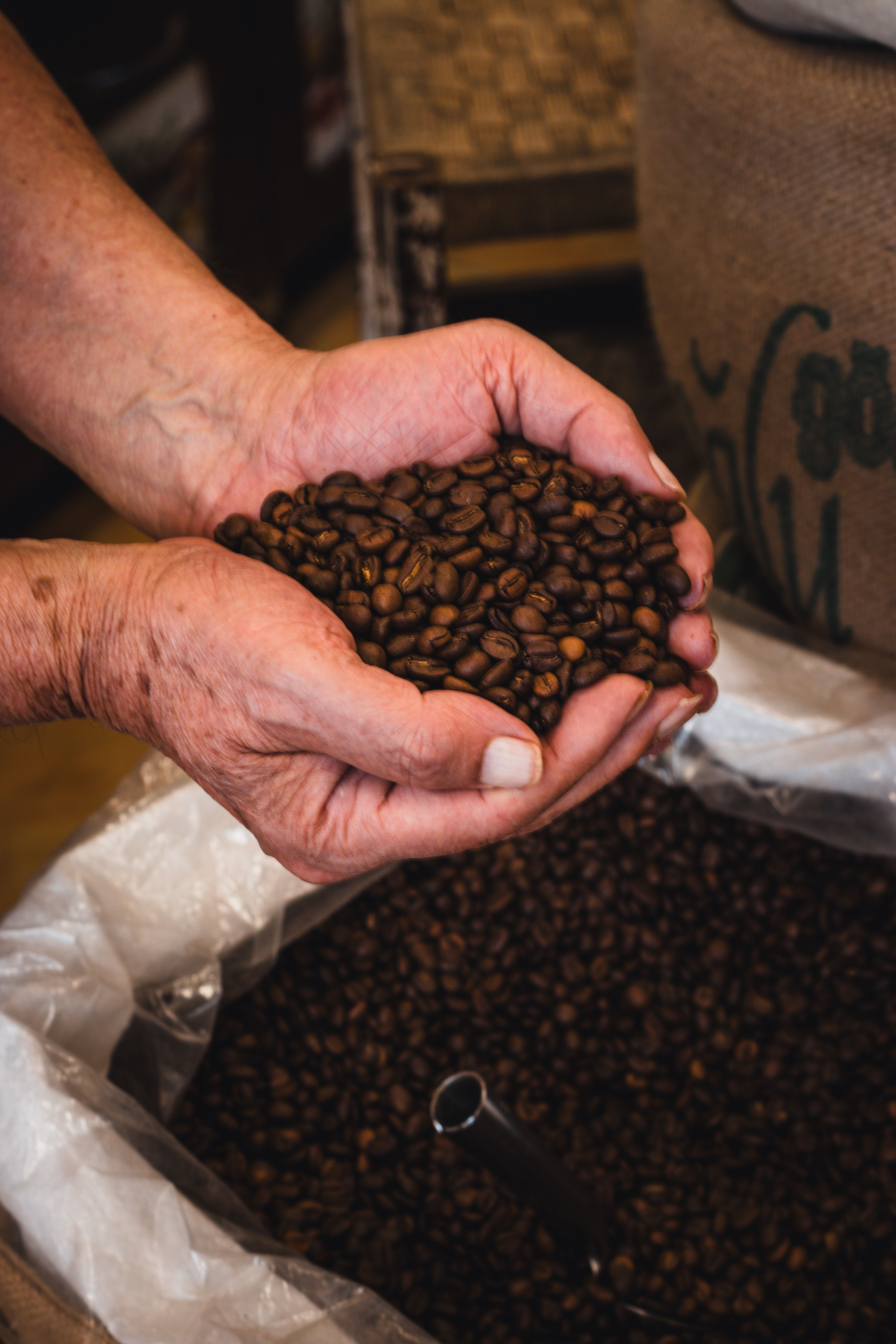 Crop person pouring out roasted coffee beans in burlap sack · Free ...