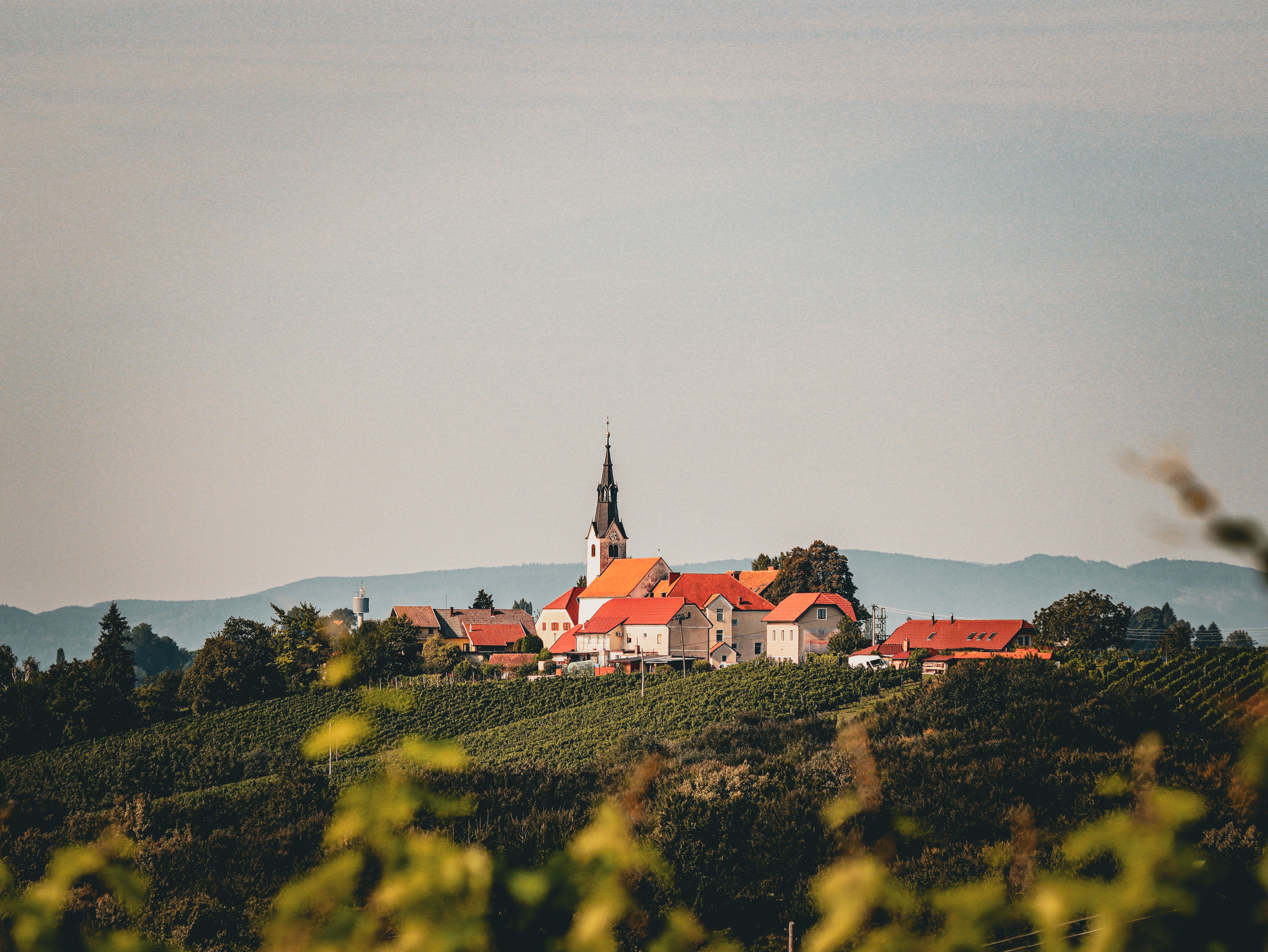 A church sits on top of a hill in the middle of a vineyard · Free Stock ...