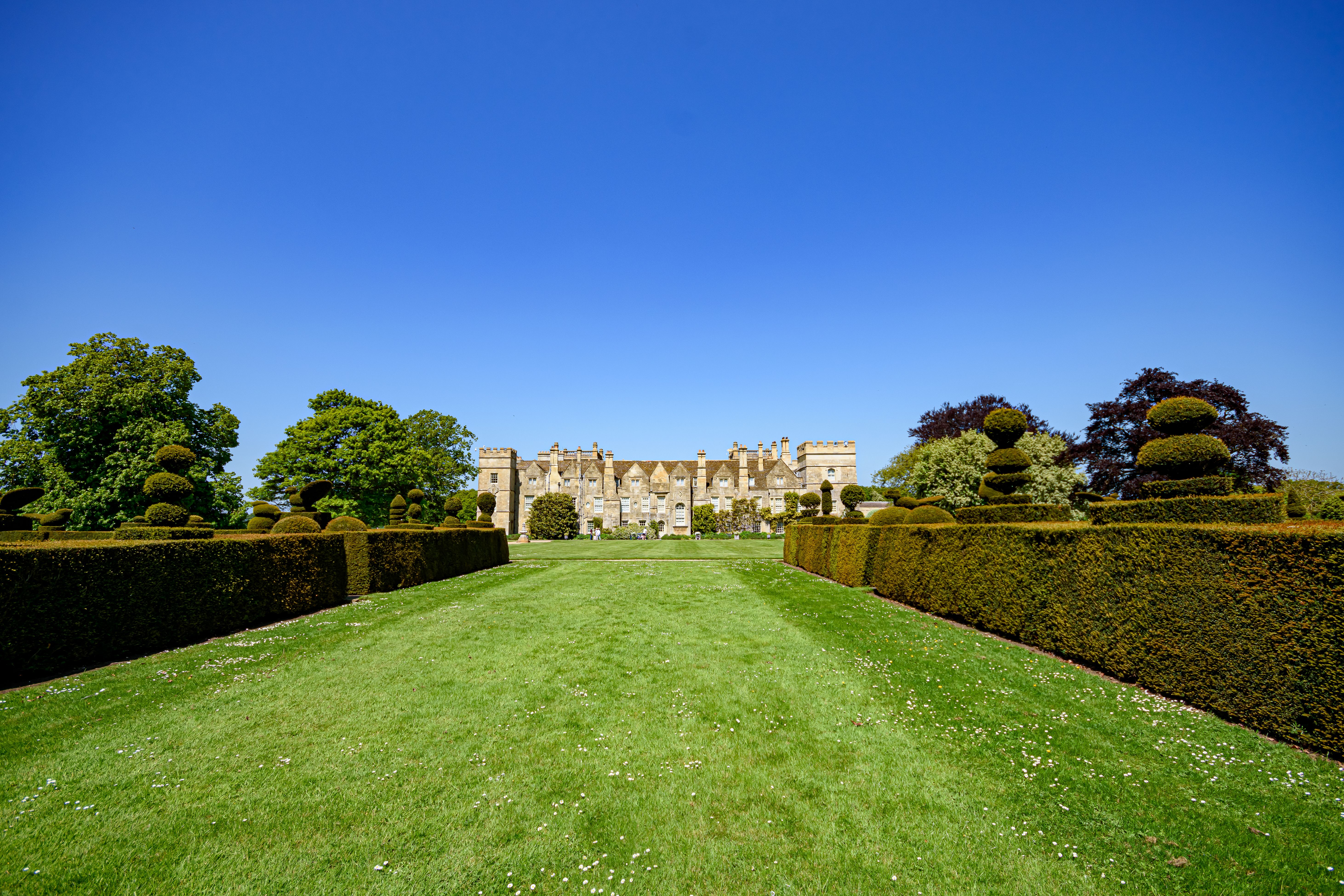 A large building with a lawn and hedges · Free Stock Photo