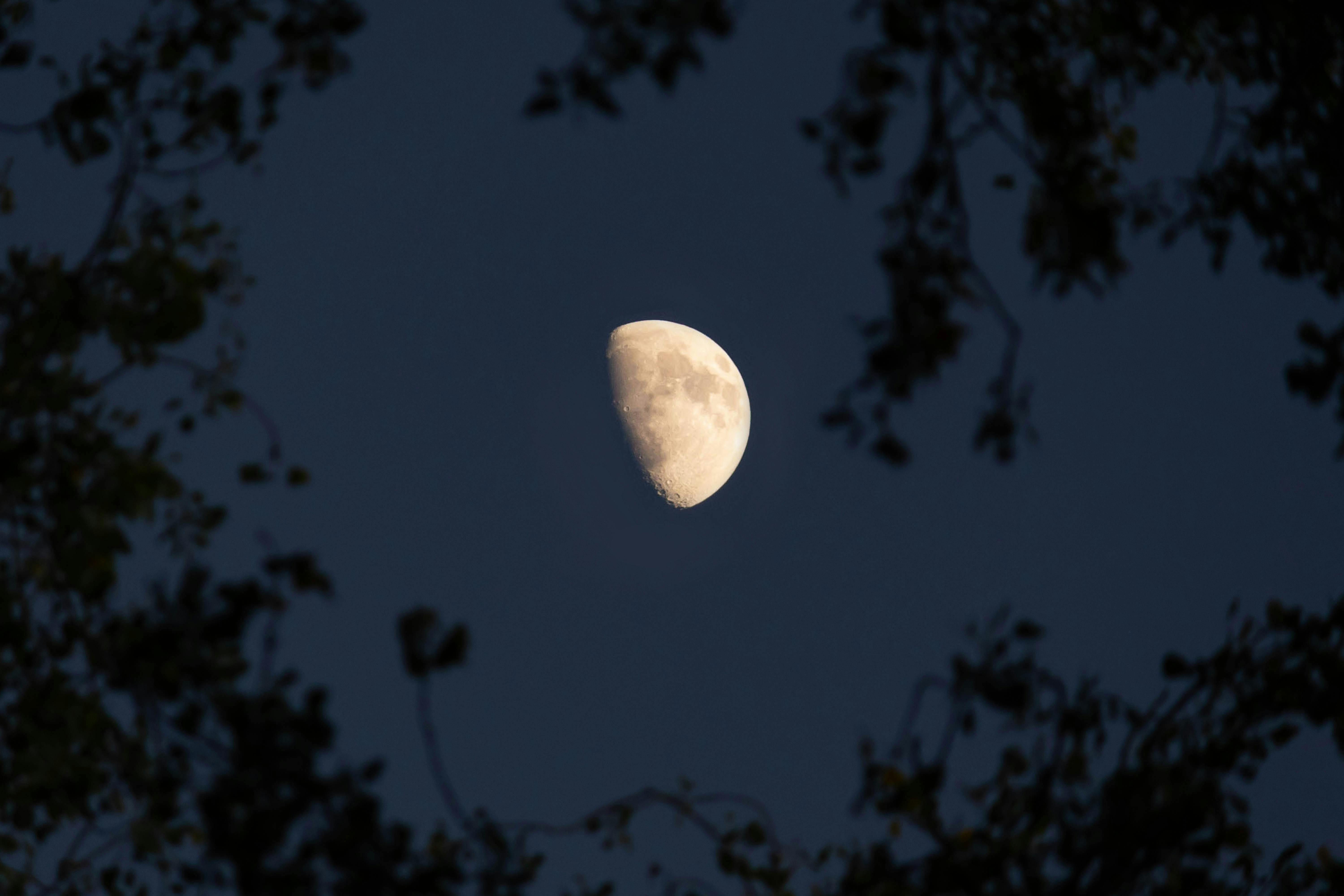 Moon Edge Close Up Photos, Download The BEST Free Moon Edge Close Up ...