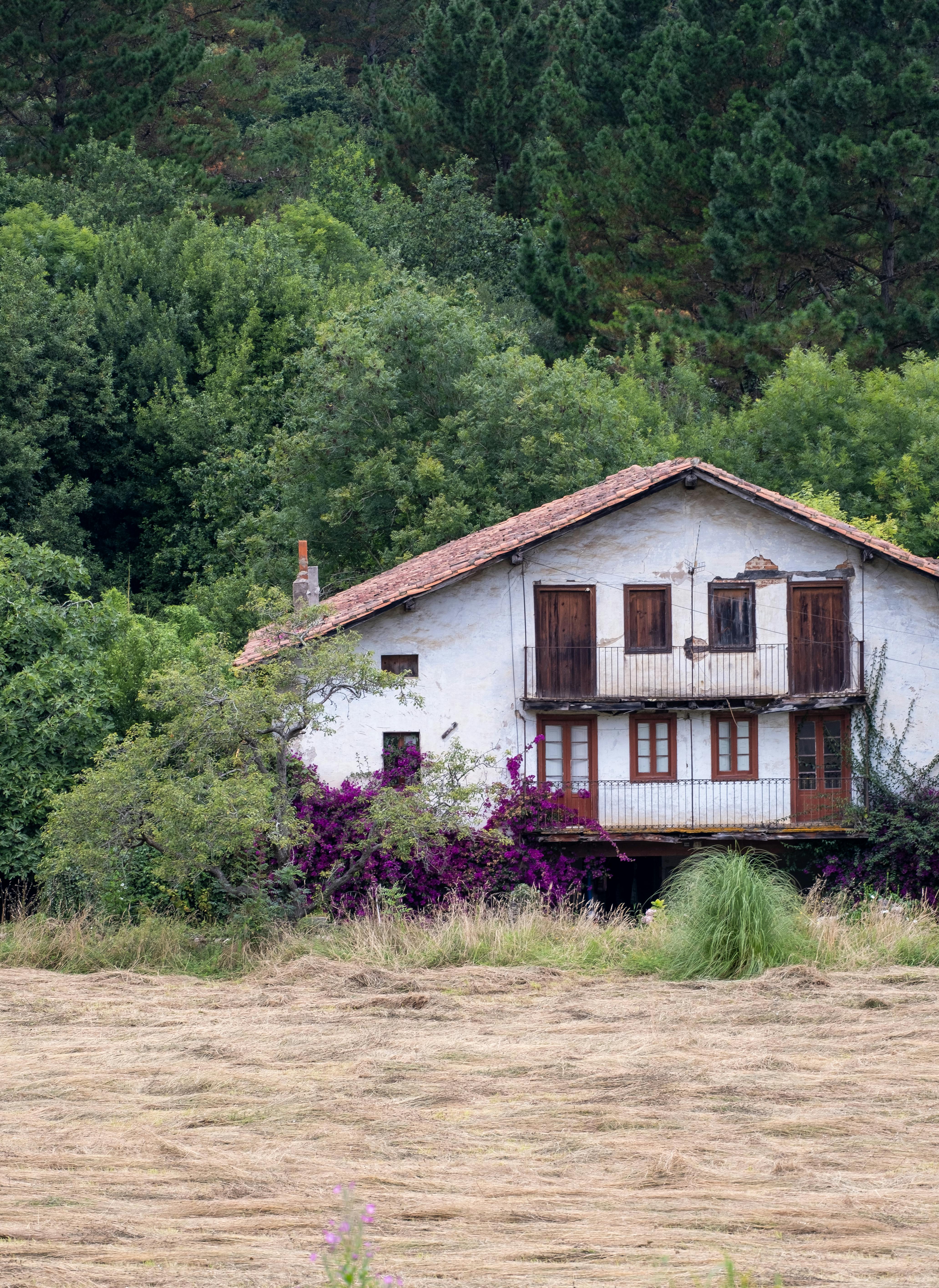 A house in the middle of a field with trees · Free Stock Photo