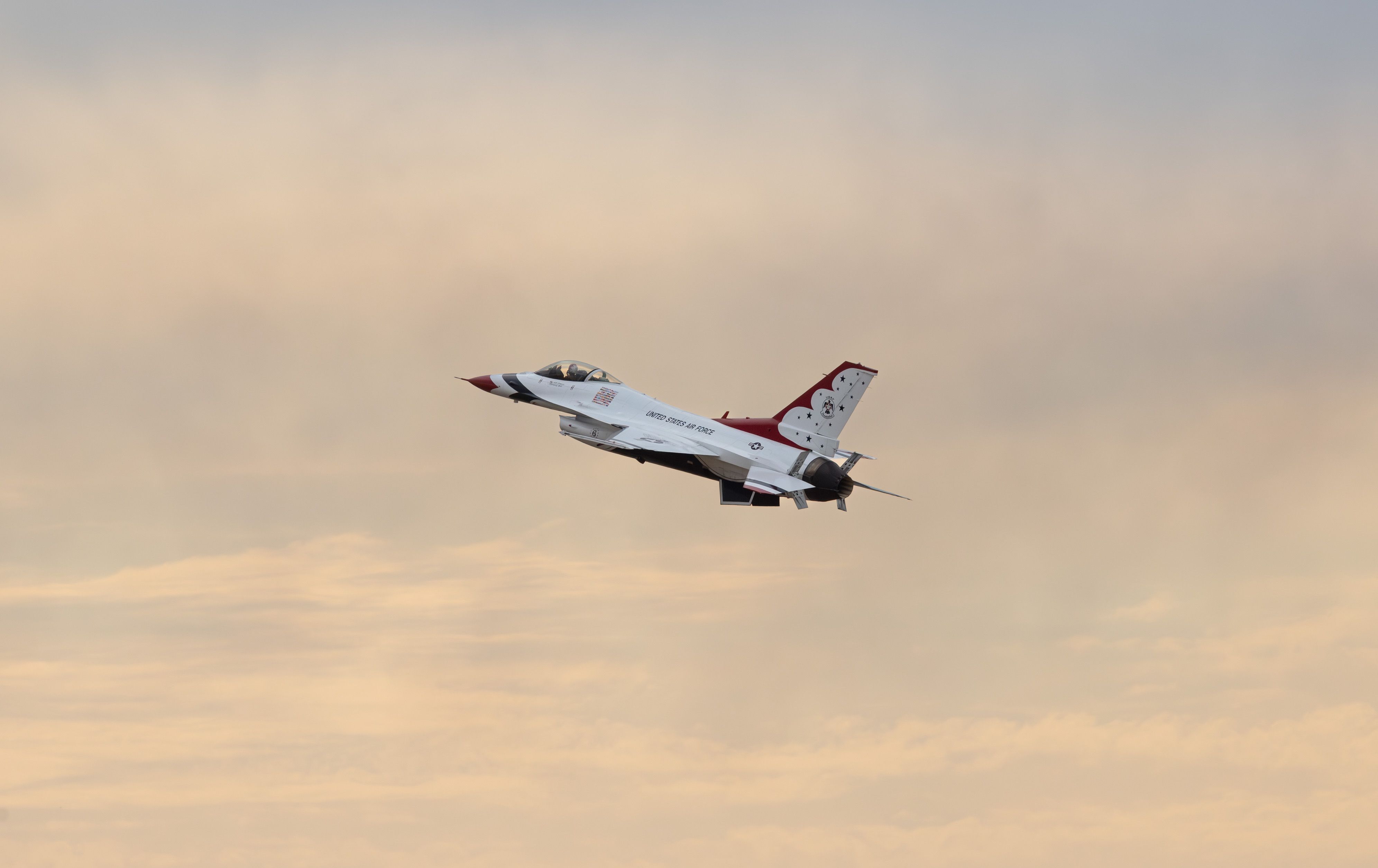 Fast Fin Photos, Download The BEST Free Fast Fin Stock Photos & HD Images