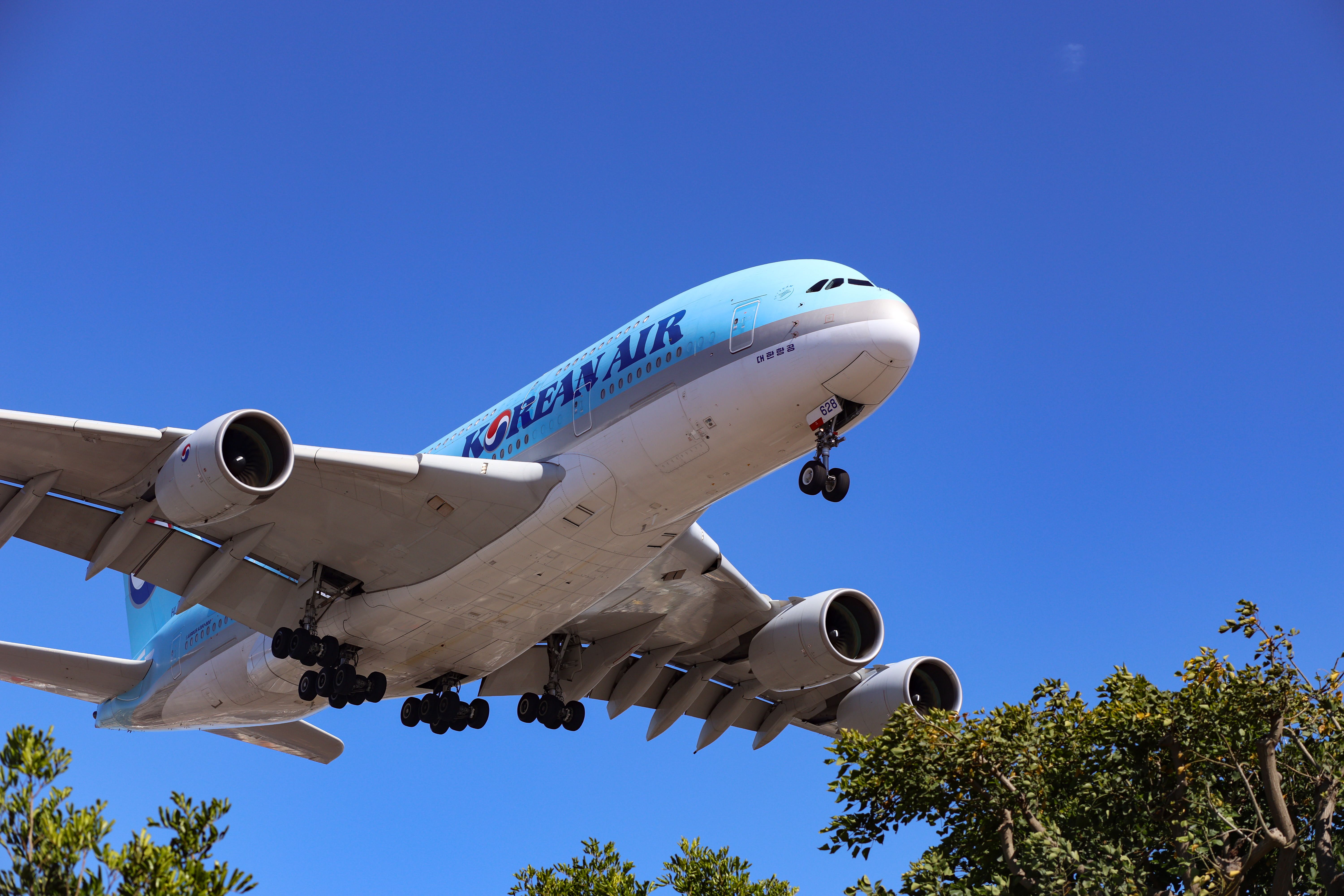 A large blue and white airplane flying through the air · Free Stock Photo