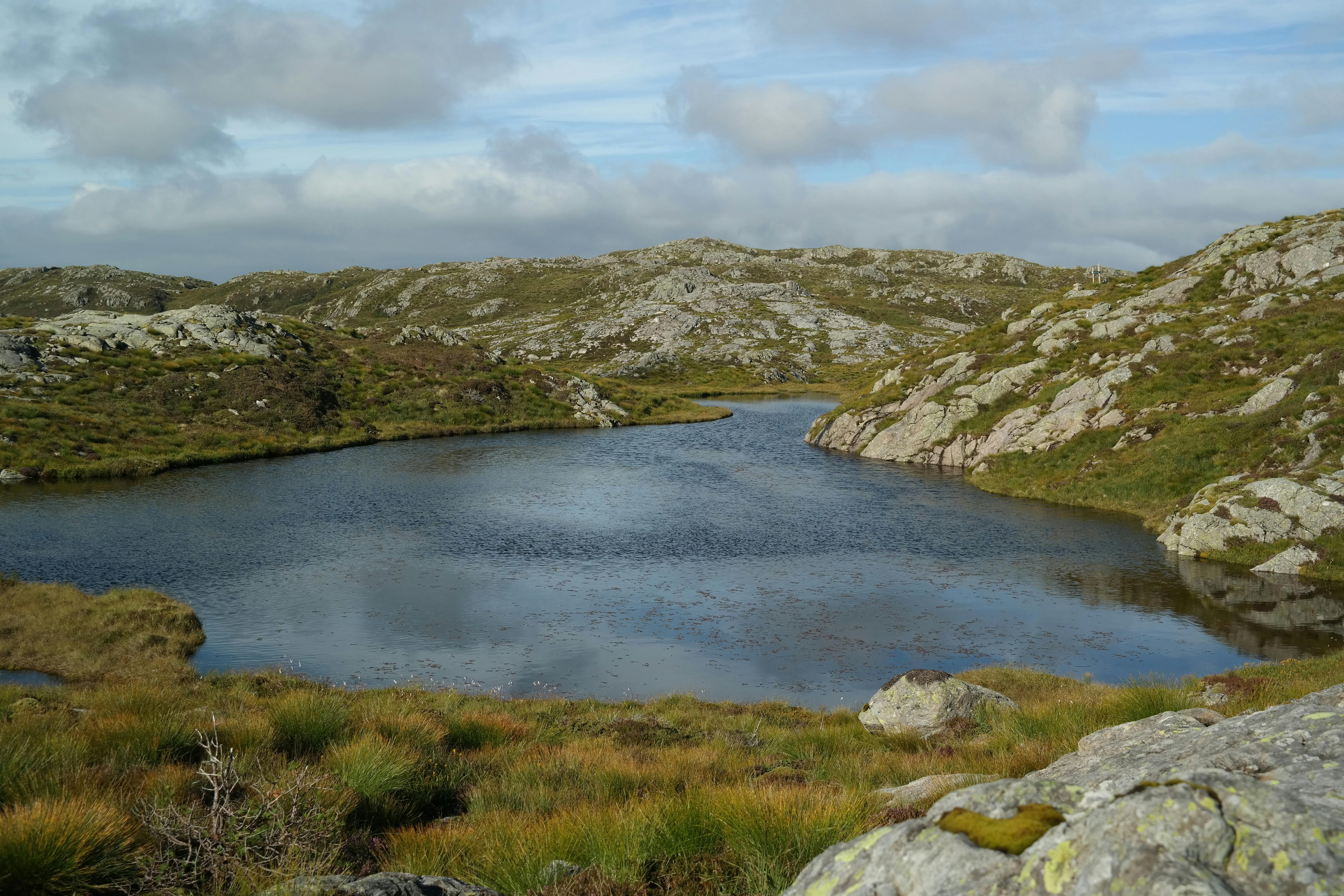 A small lake surrounded by grass and rocks · Free Stock Photo