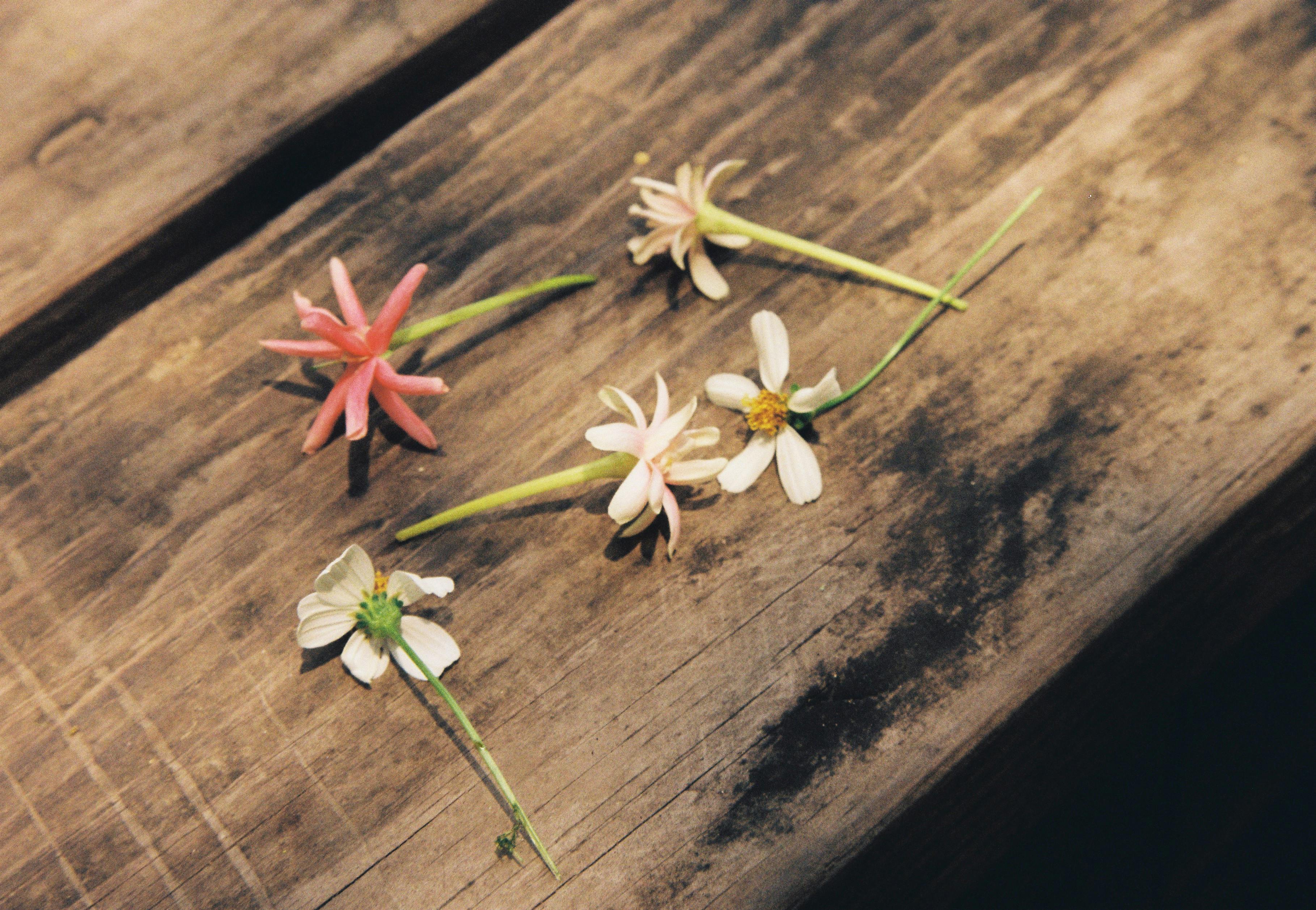 Chapter 30: High Hope · Free Stock Photo