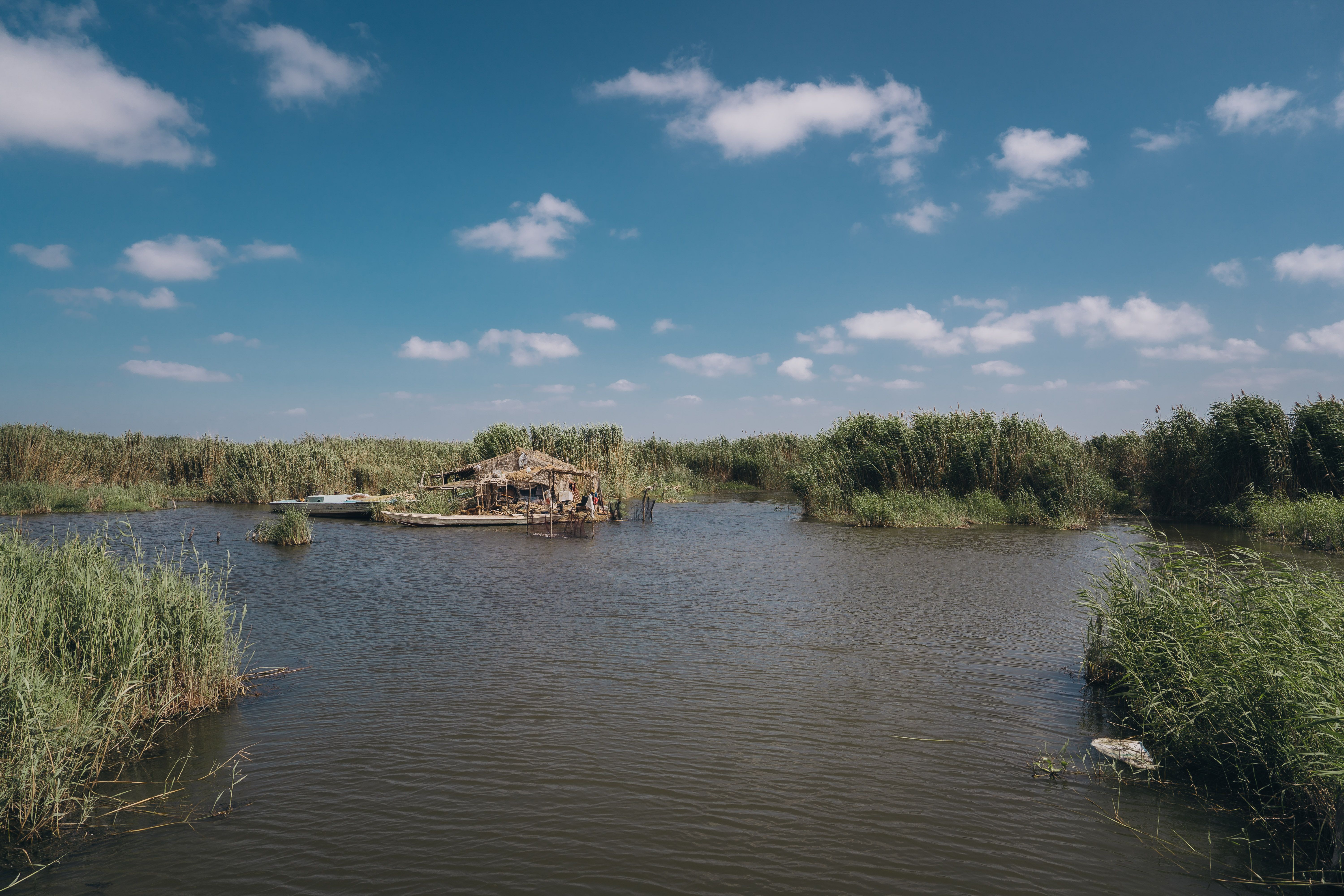 Egyptian Wetlands Photos, Download The BEST Free Egyptian Wetlands ...
