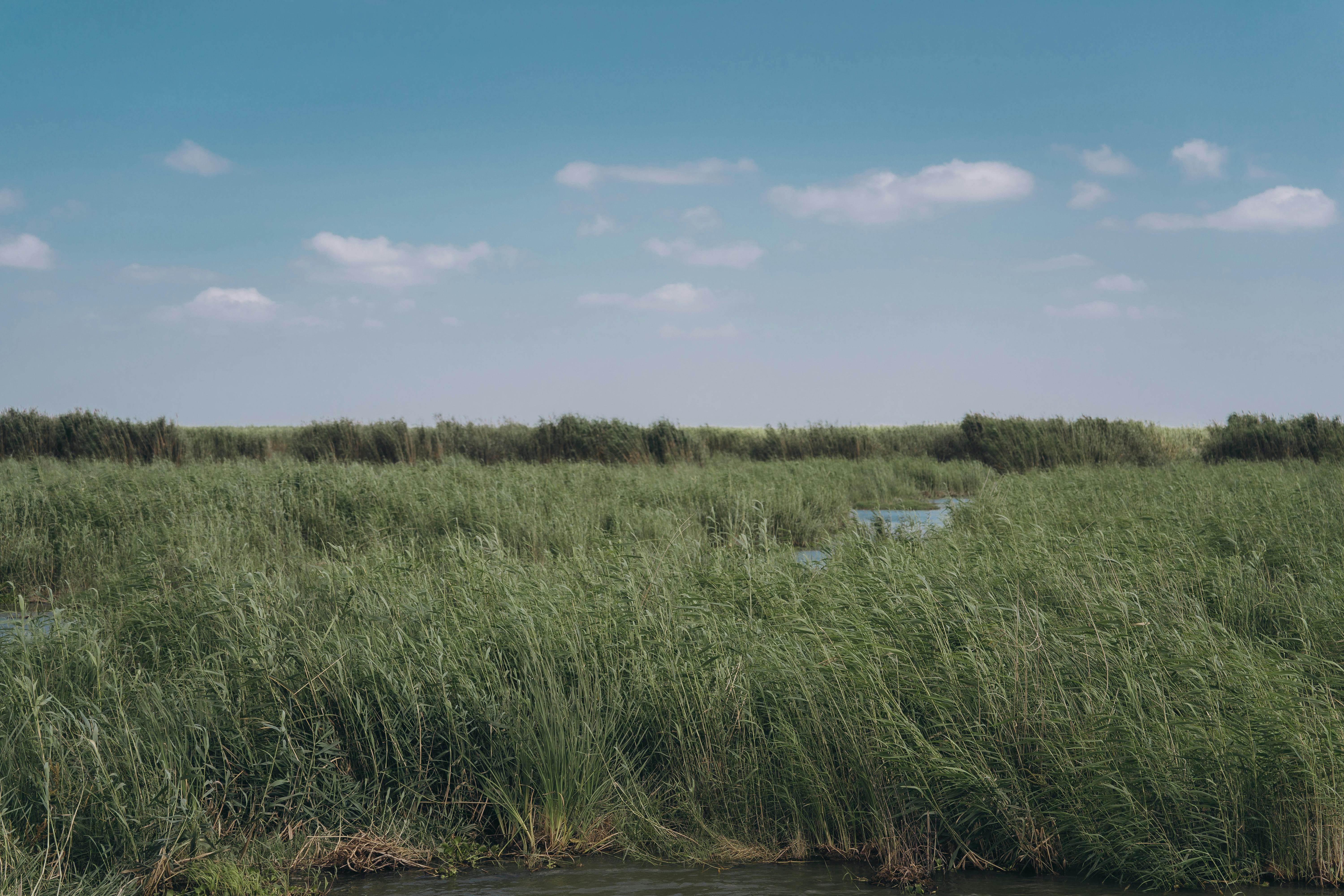 Green Cinematic Background Photos, Download The BEST Free Green ...