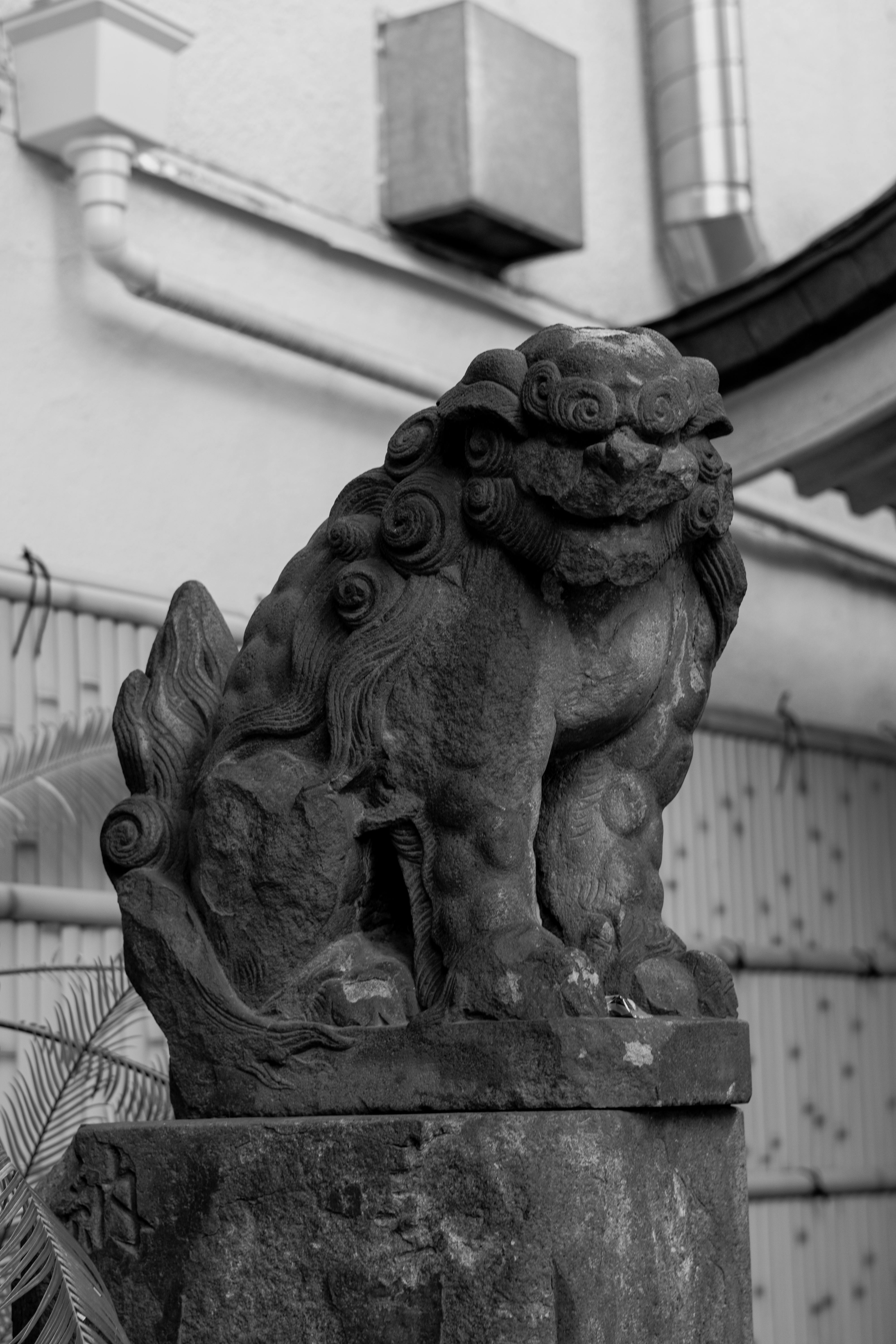 Yen Japanese Photos, Download The BEST Free Yen Japanese Stock Photos ...