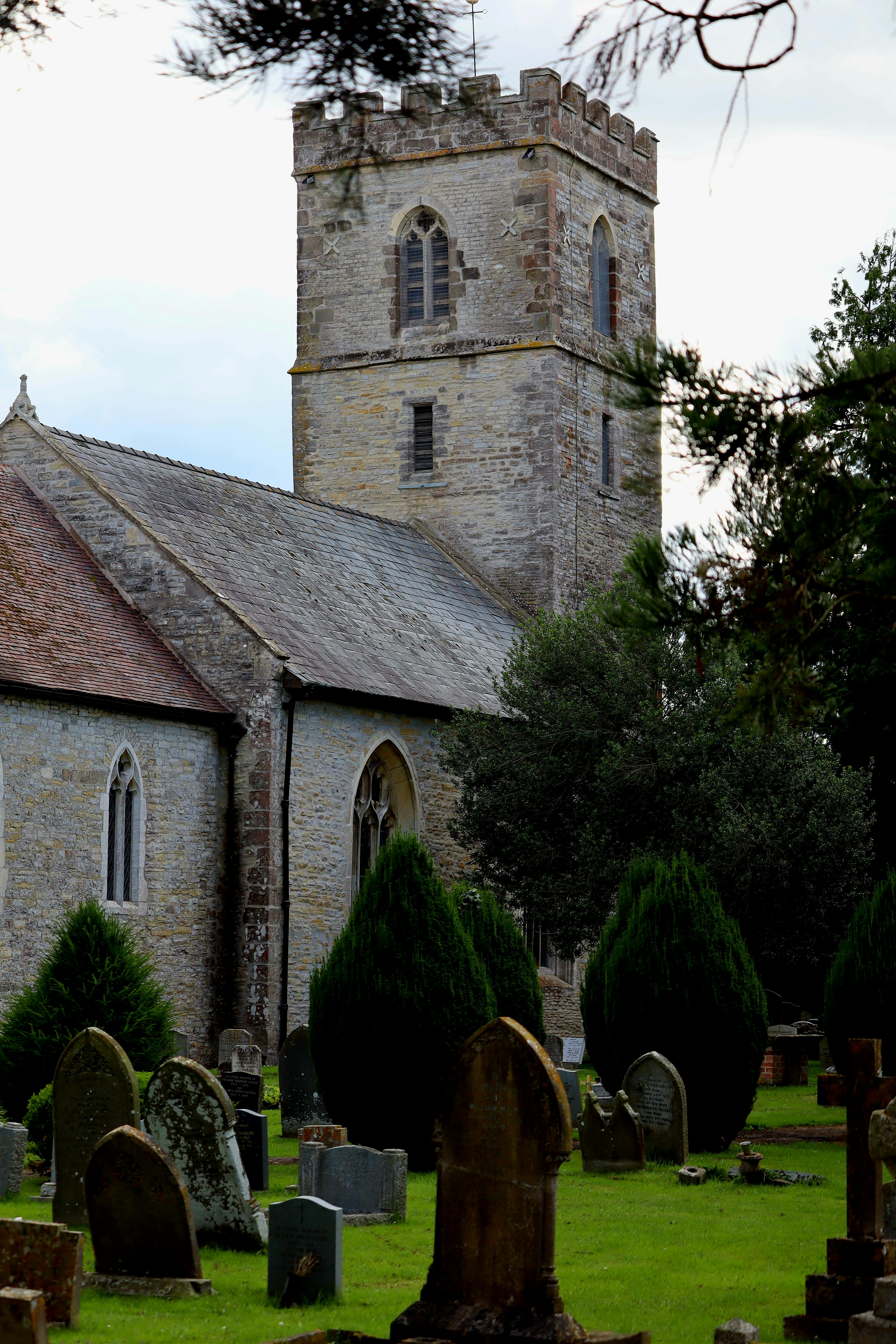 Pathway Through Cathedral Surrounded by Trees in Grayscale Photography ...
