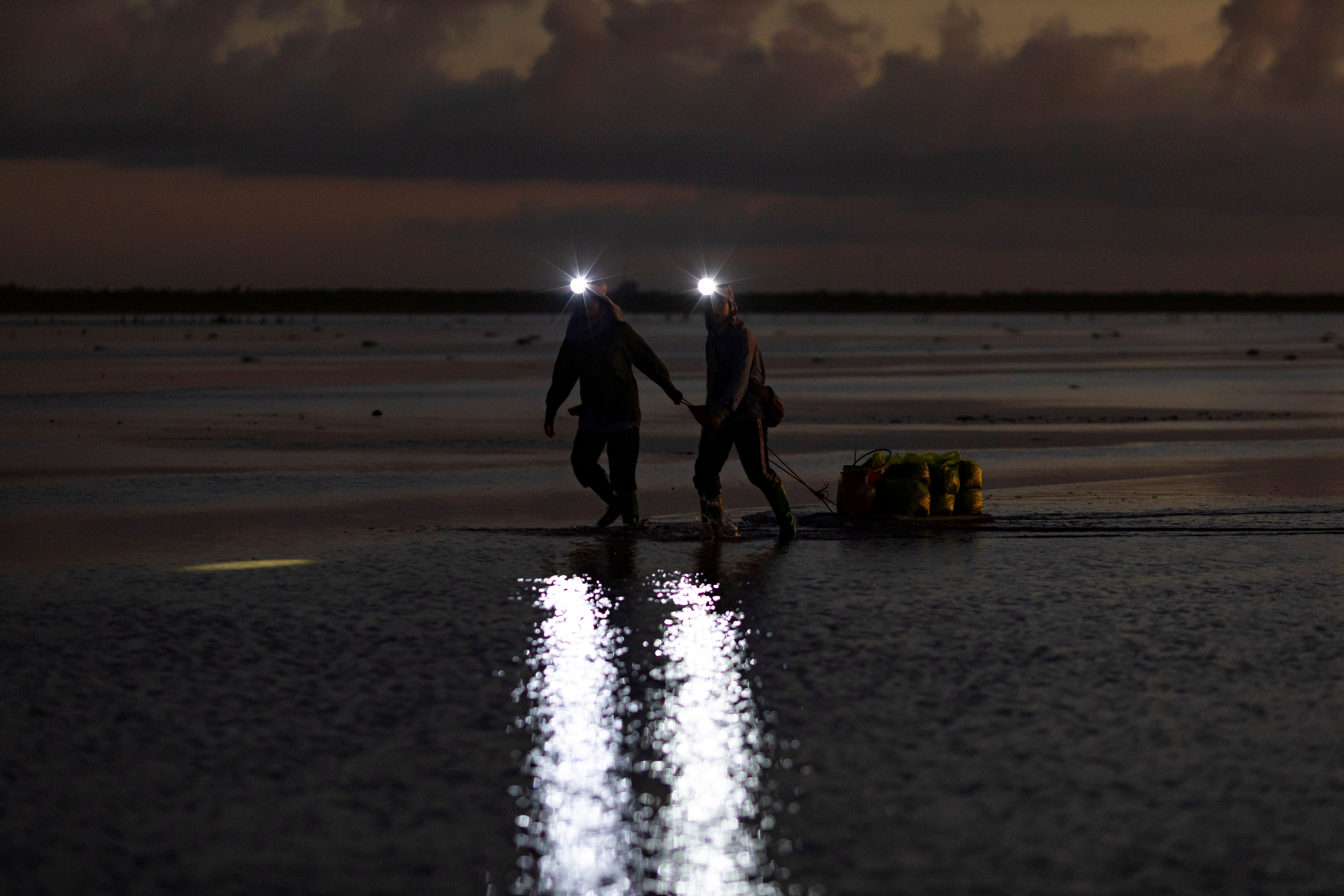 Two people walking on the beach at night with headlamps · Free Stock Photo