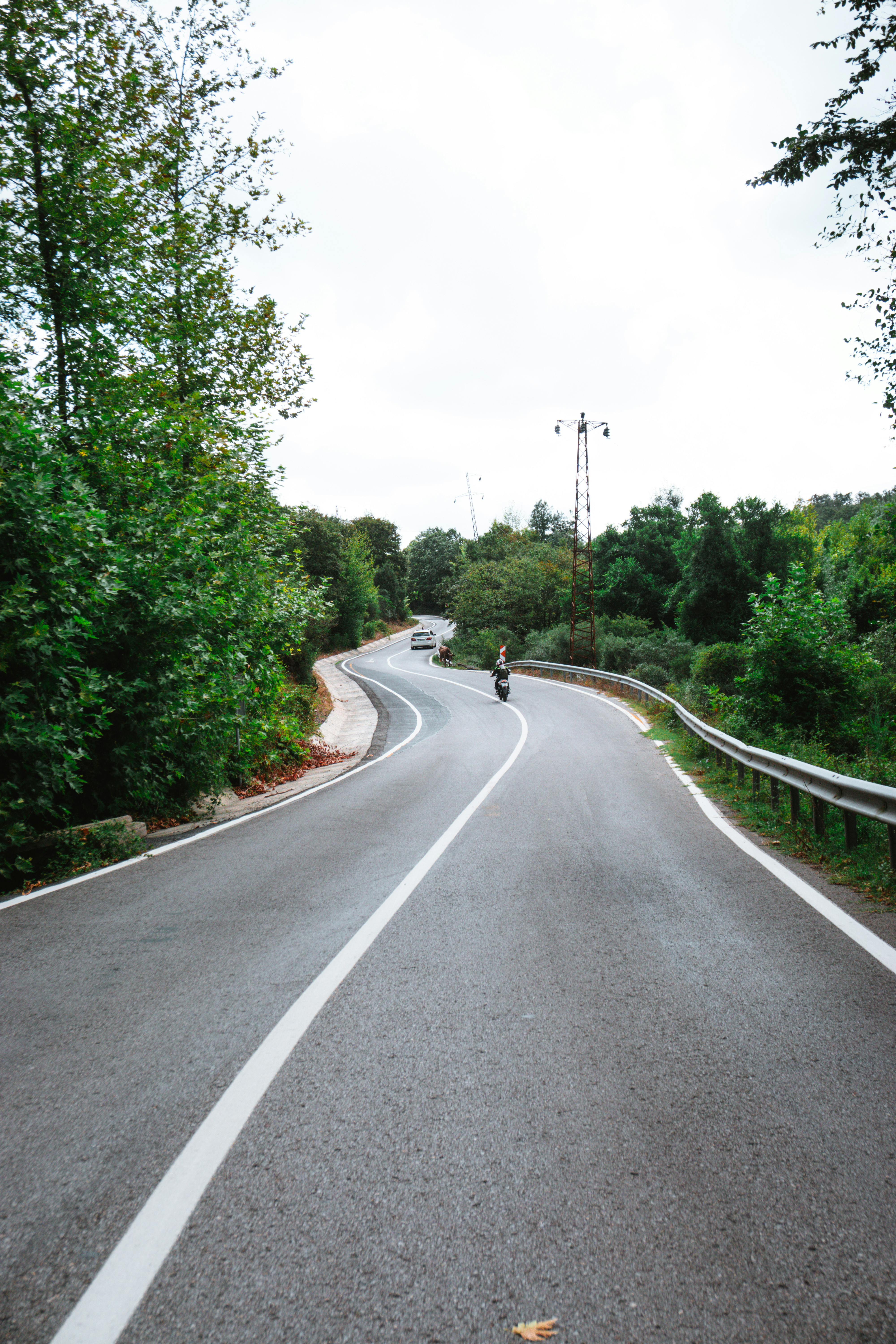 yol · Free Stock Photo