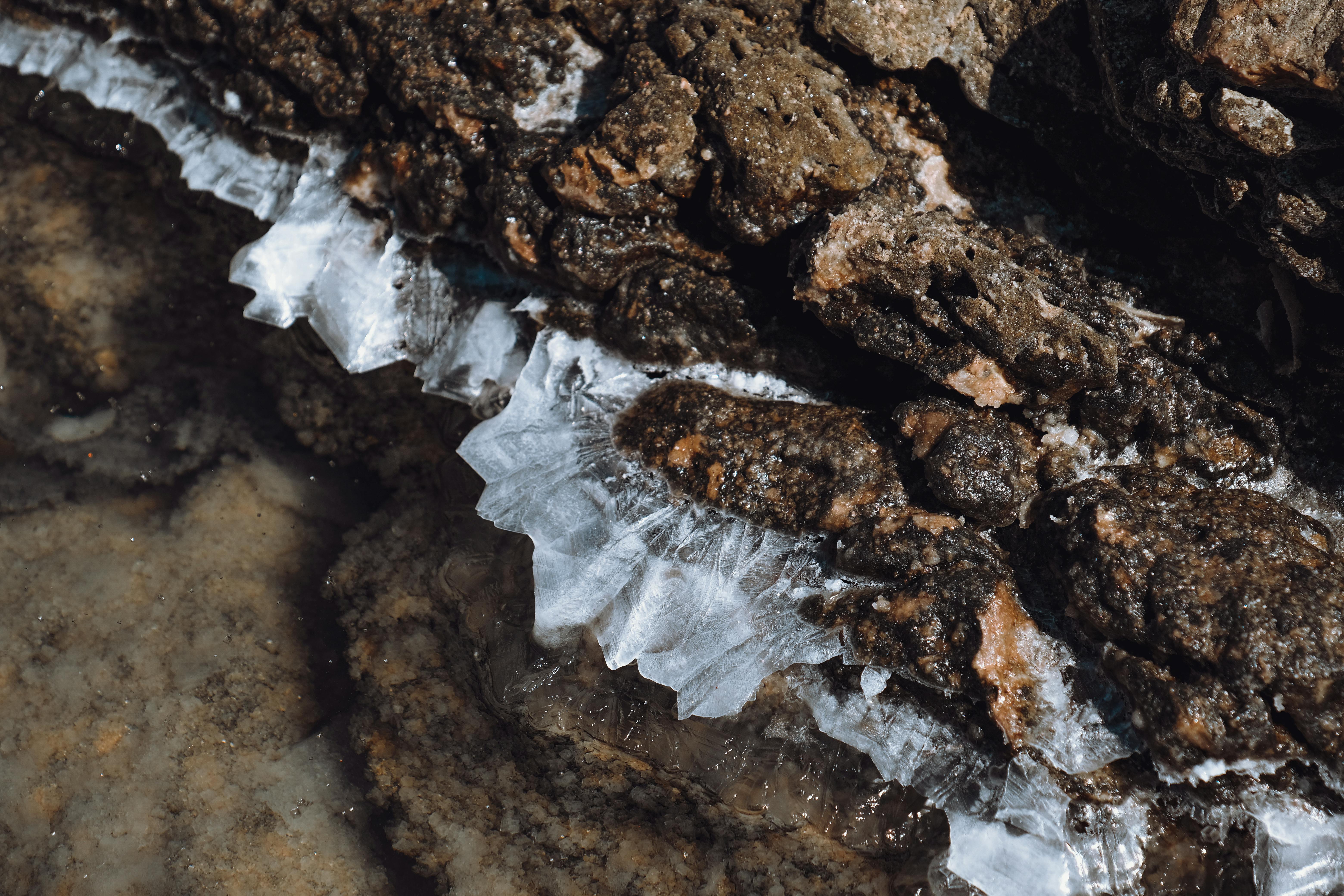 Ice on the rocks in the ocean · Free Stock Photo