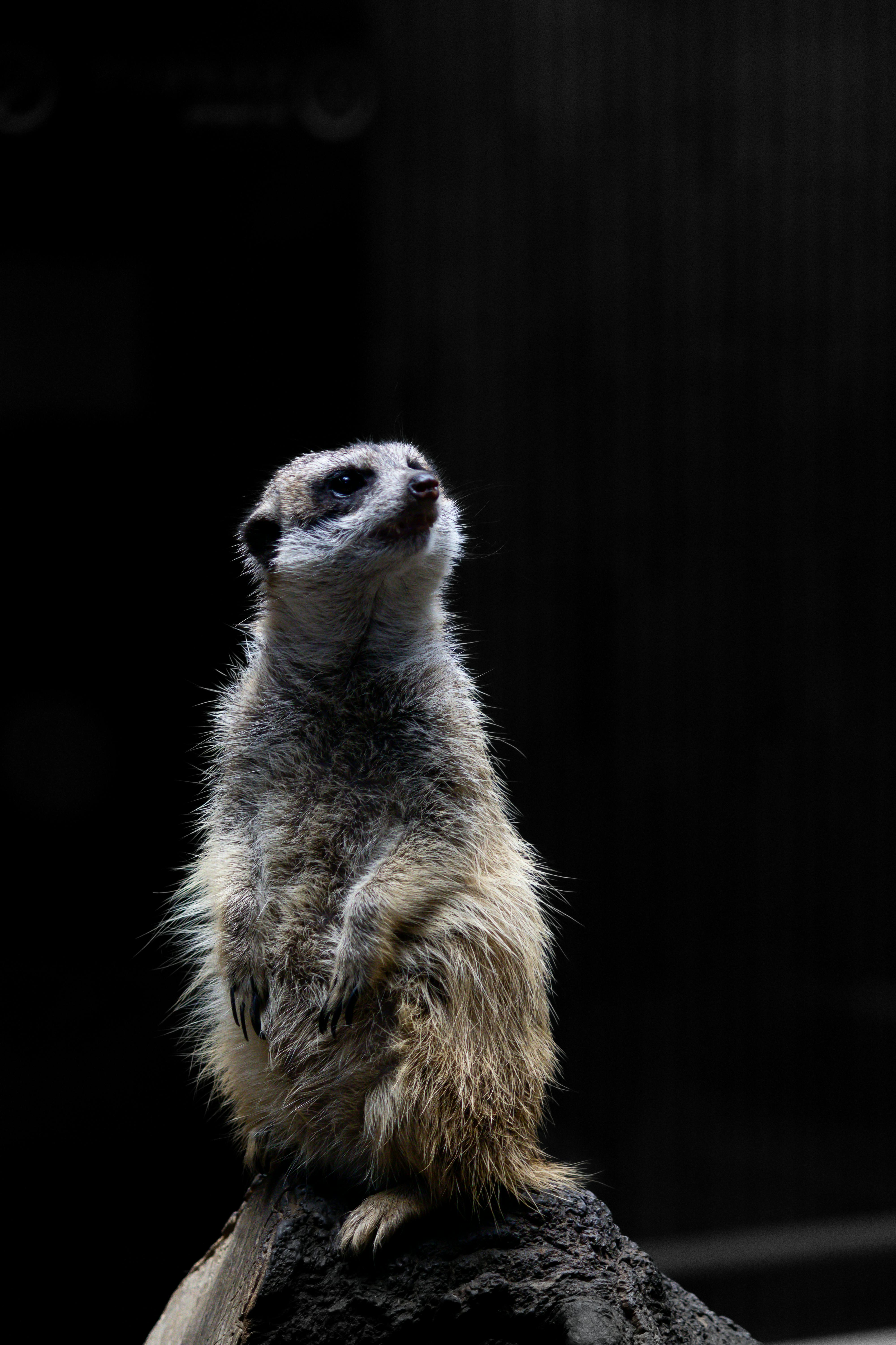 Japan Desert Photos, Download The BEST Free Japan Desert Stock Photos ...