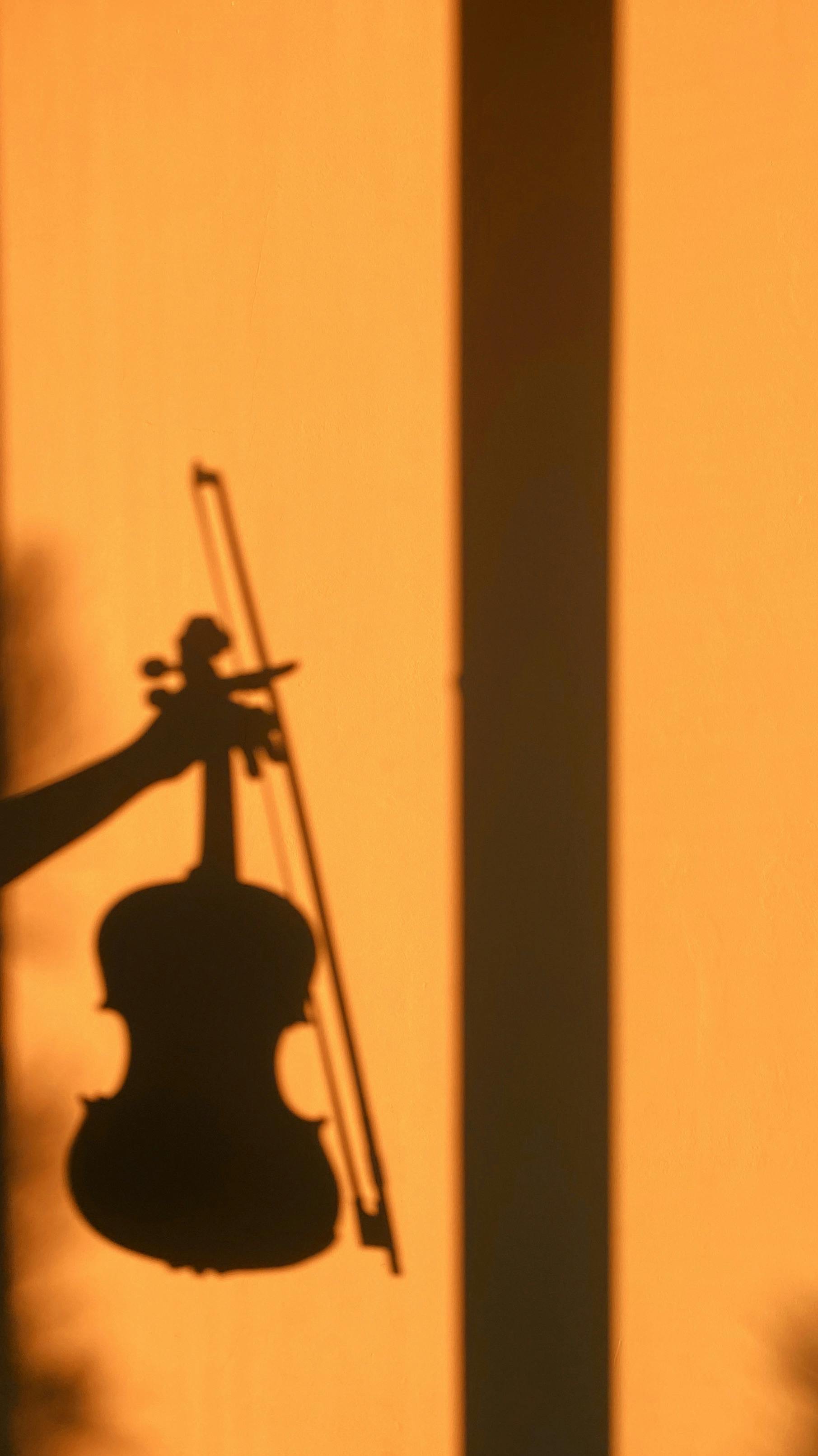 Shadow of a Person Holding the Violin on the Wall · Free Stock Photo