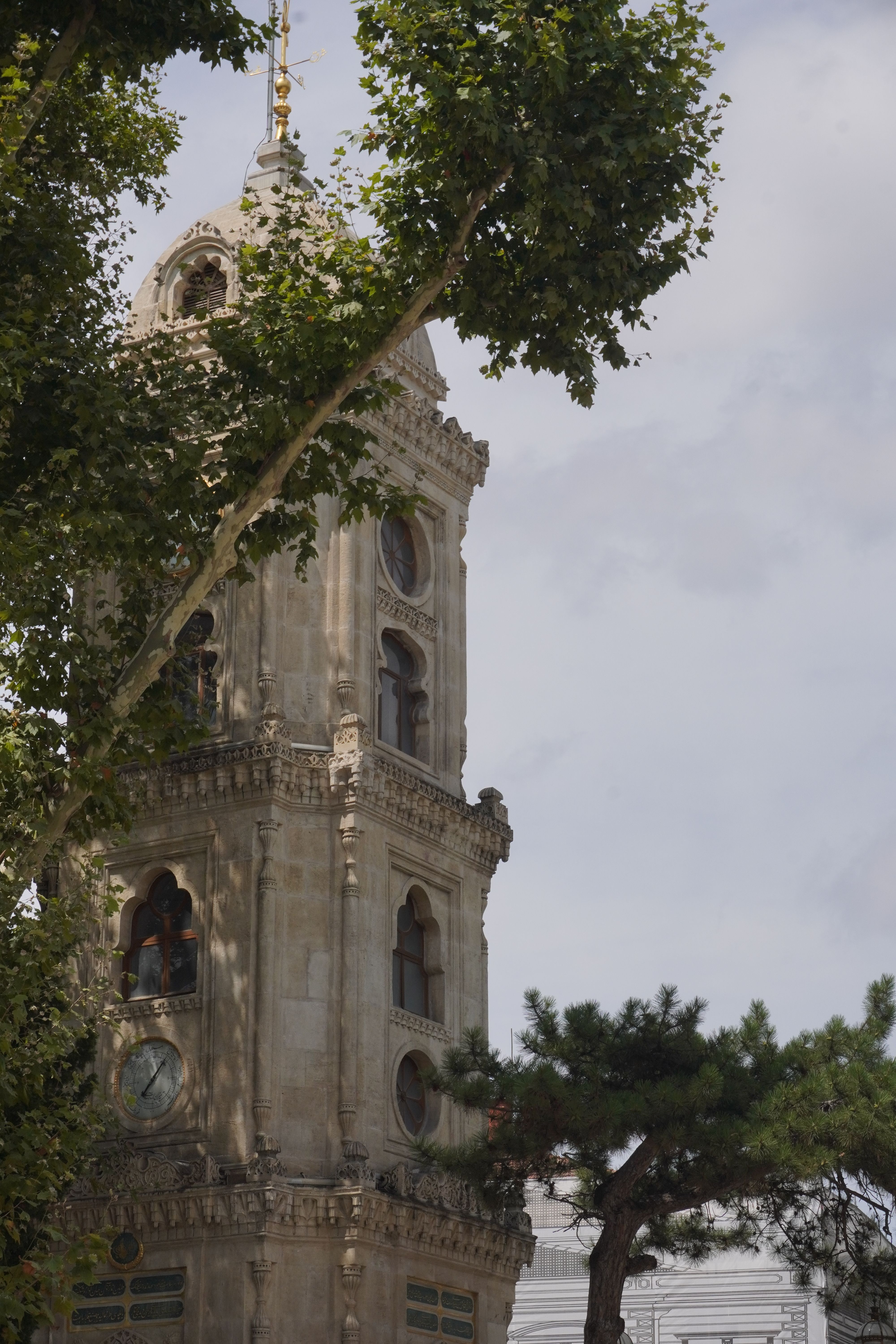 A clock tower with a clock on it sitting on top of a tree · Free Stock ...