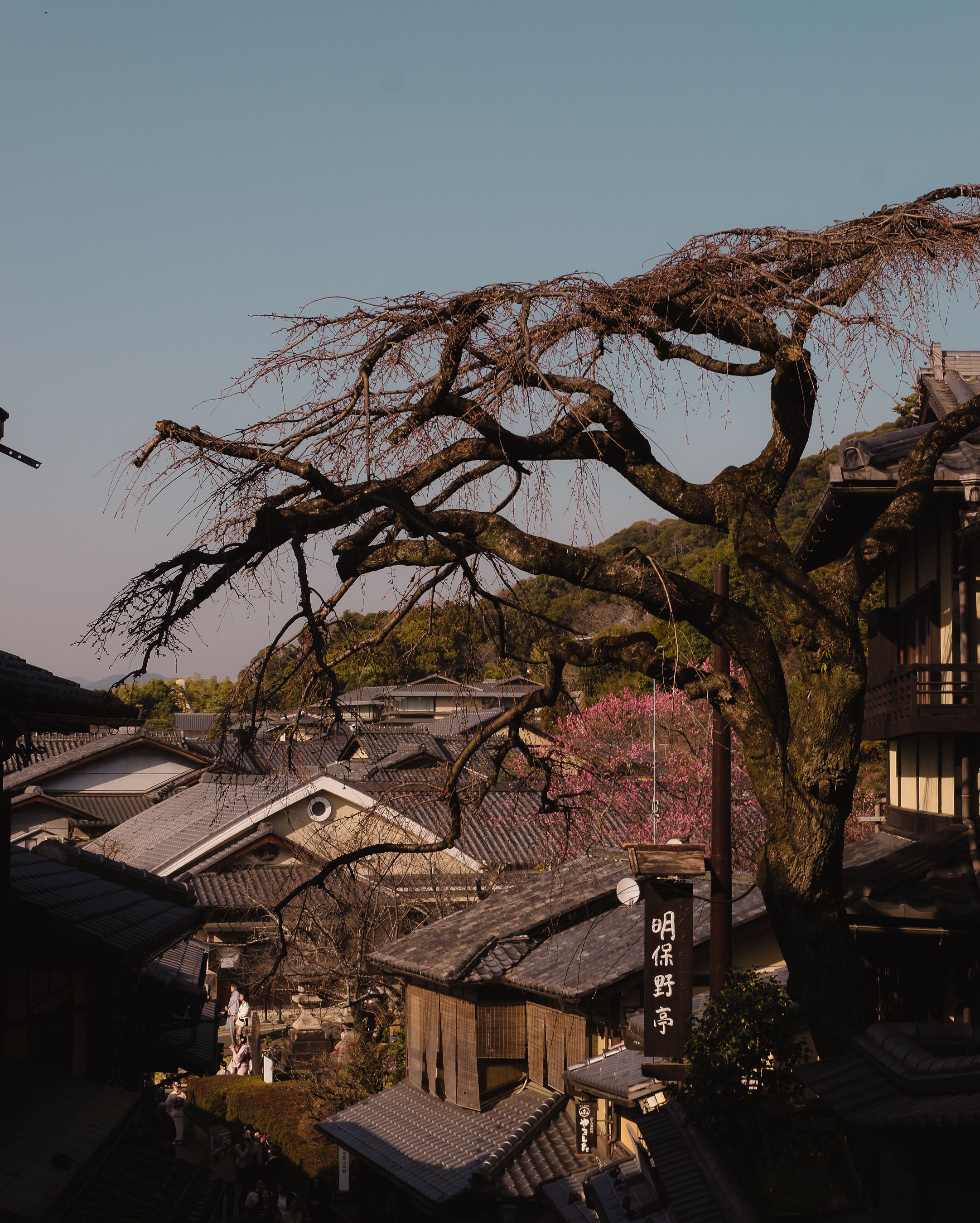 Japan Routine · Free Stock Photo