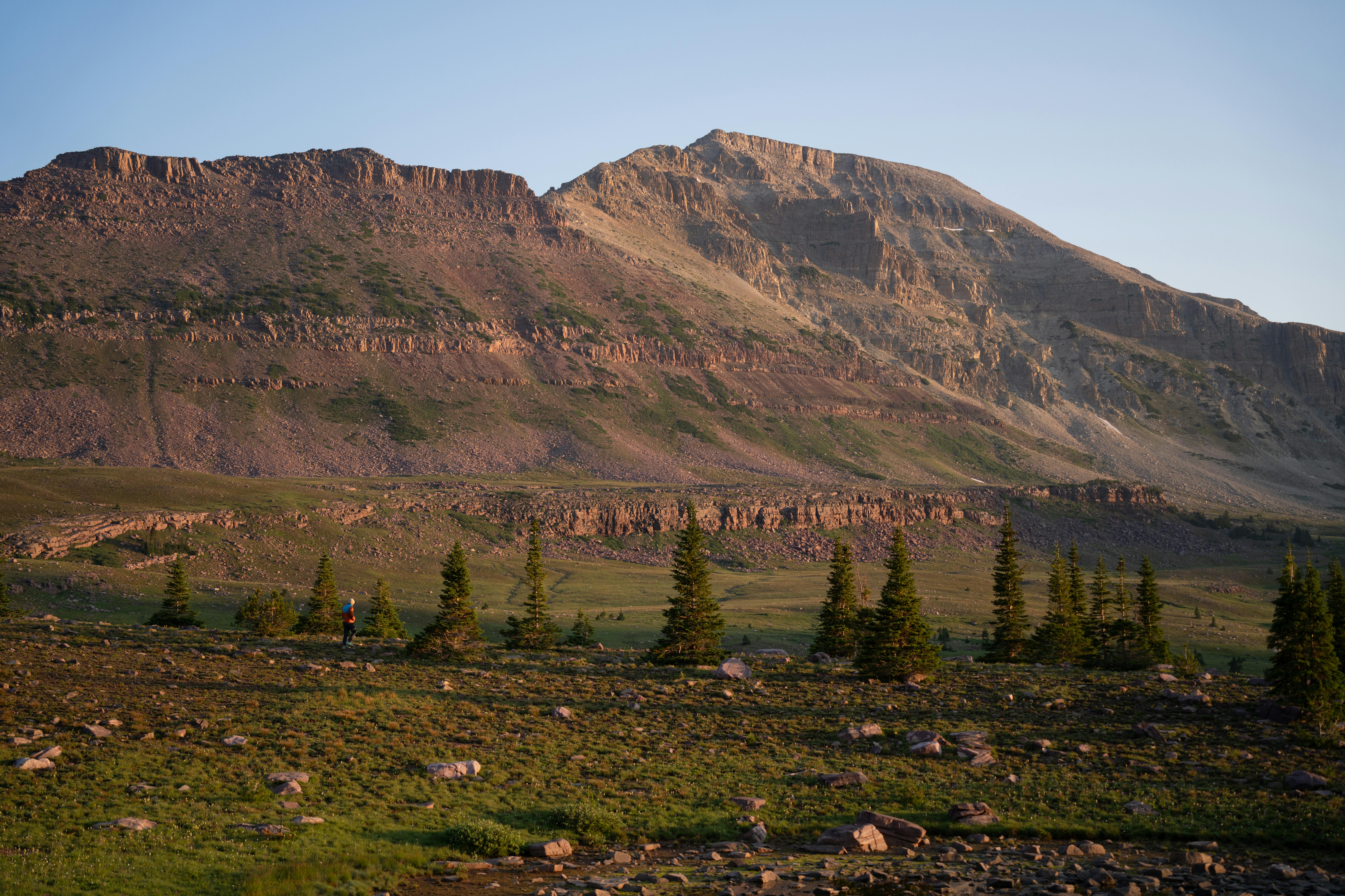 Foto de stock gratuita sobre aire libre, aislado, al aire libre ...