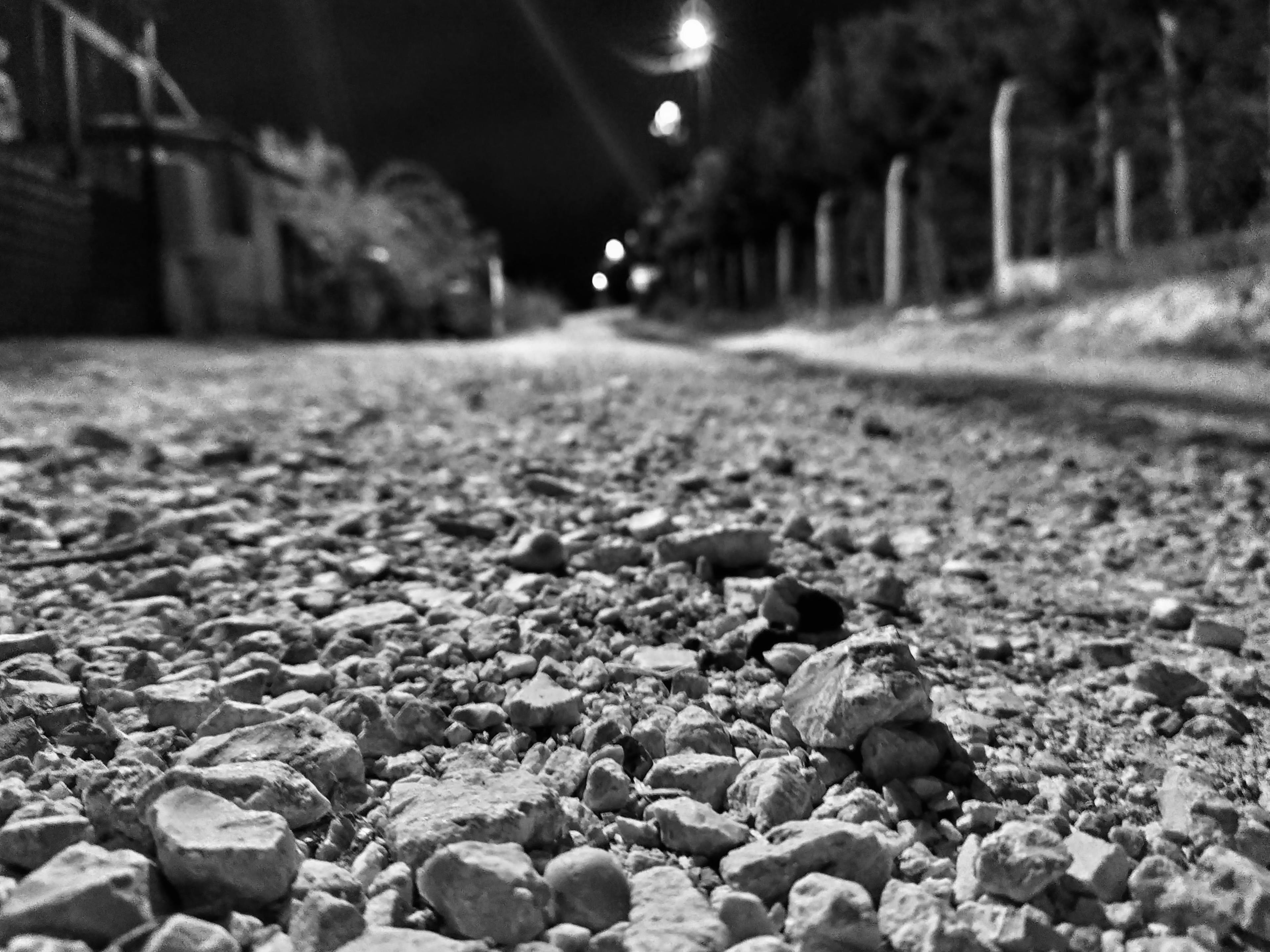 Hafize Balcı - 摄影