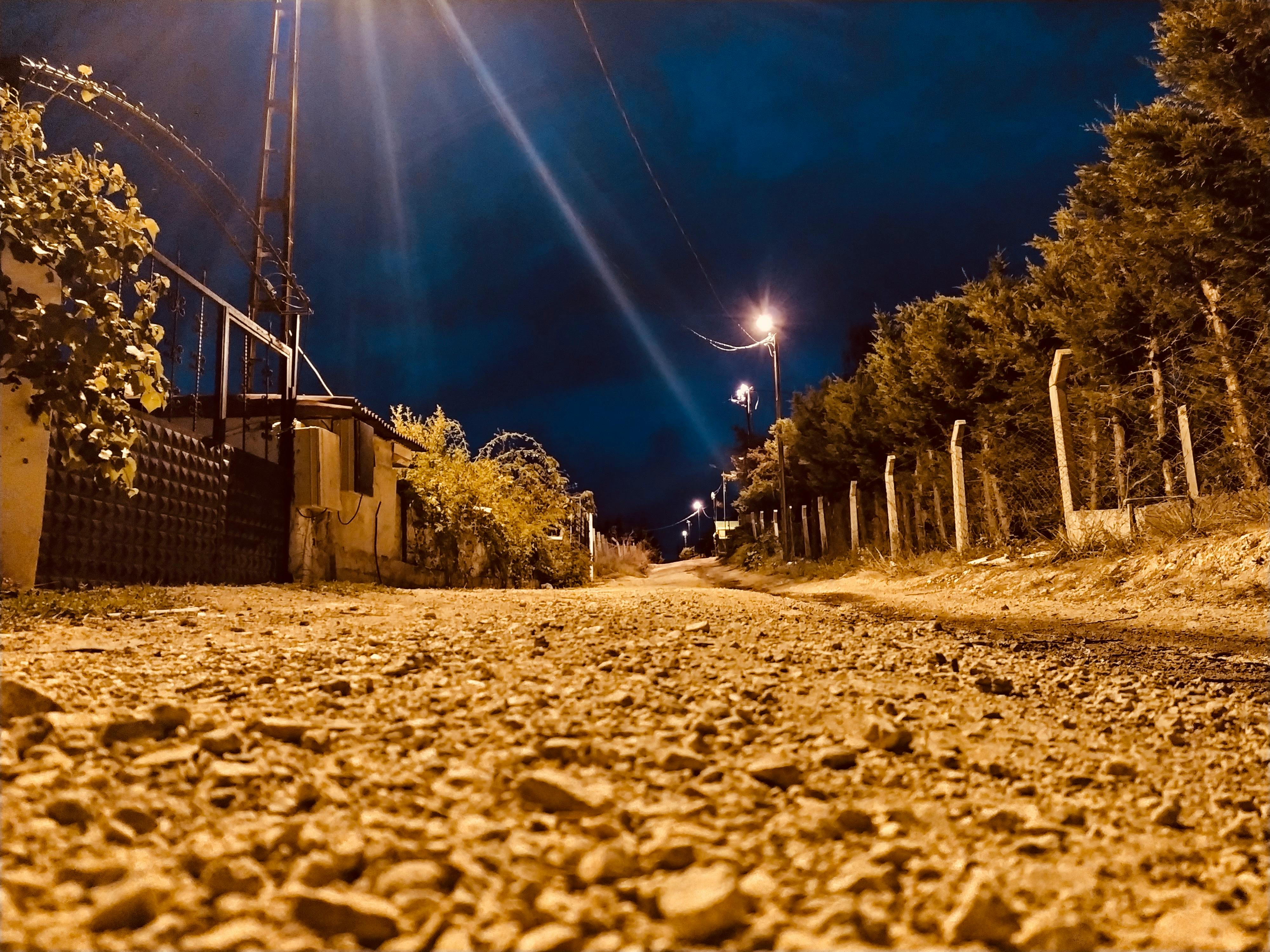 Hafize Balcı - 摄影