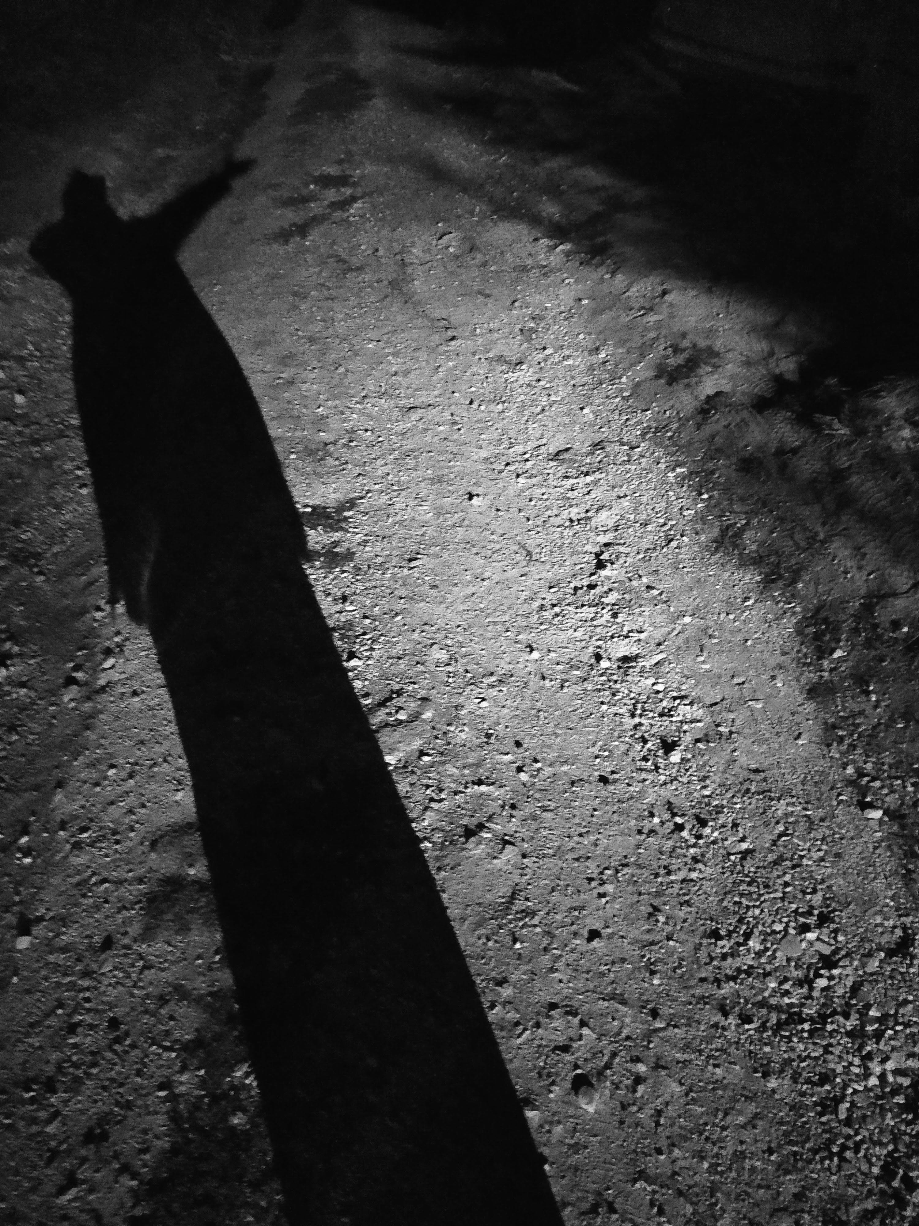 Hafize Balcı - 摄影