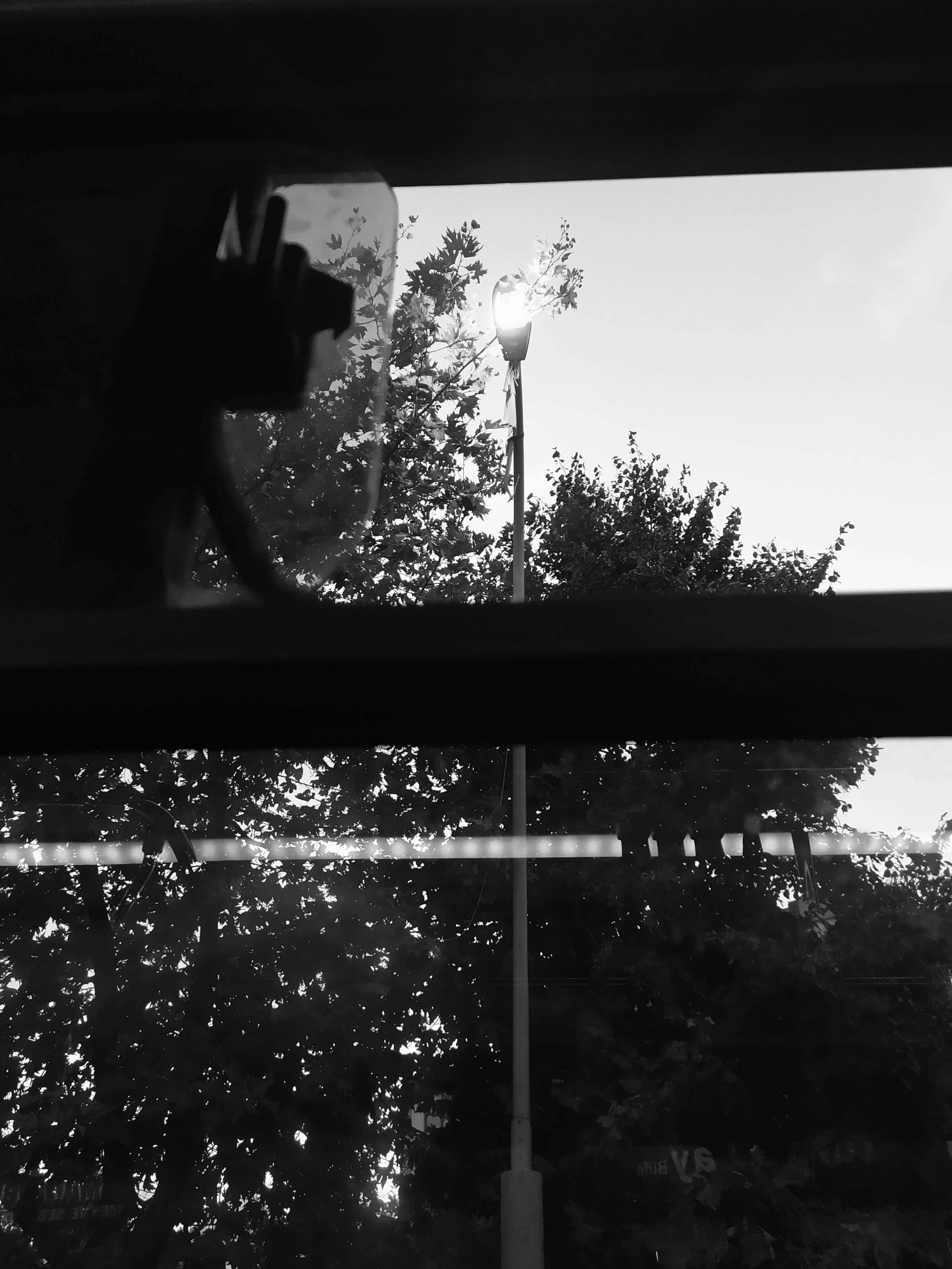 Hafize Balcı - 摄影