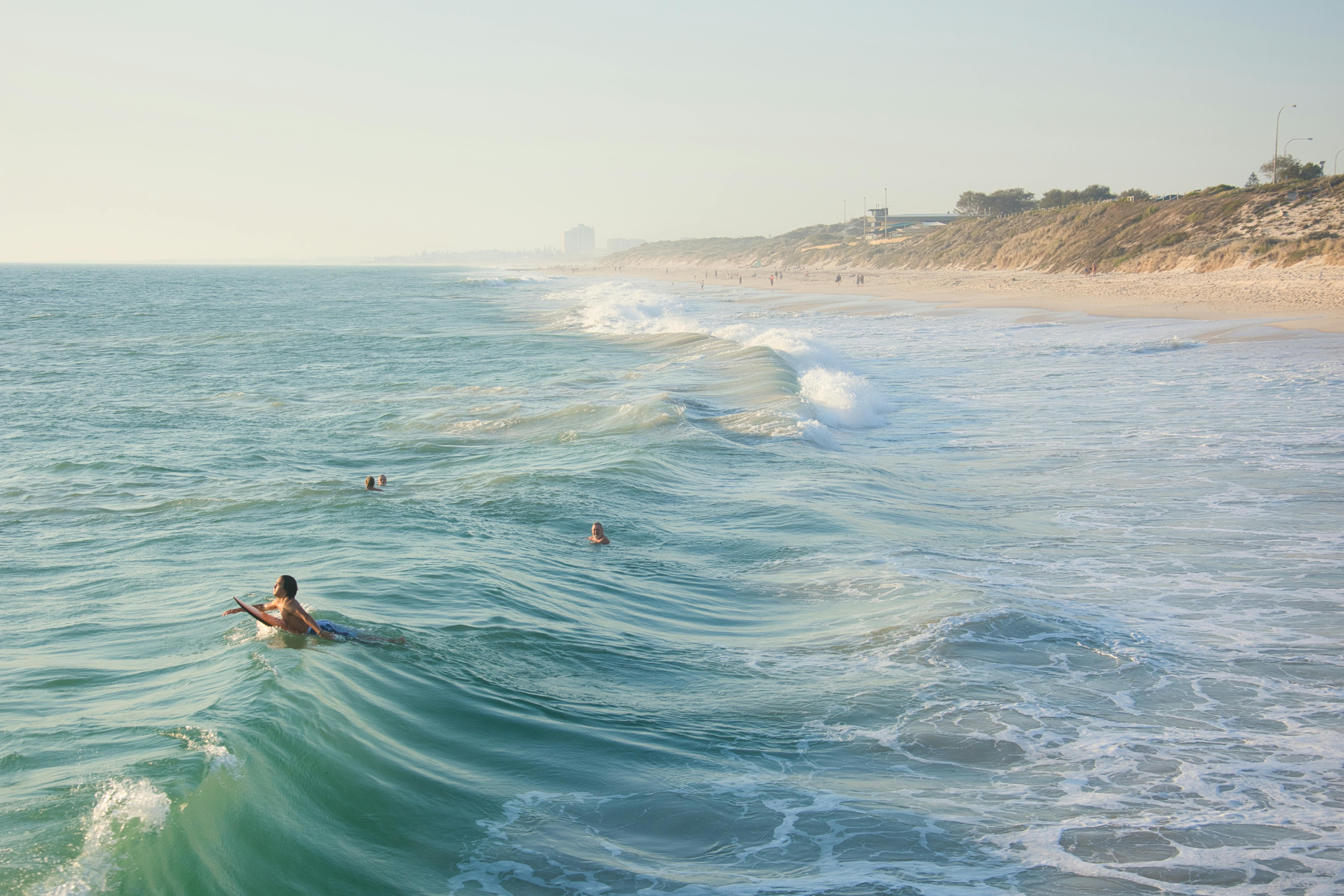 Surfers in the sunlight in Perth, Australia · Free Stock Photo