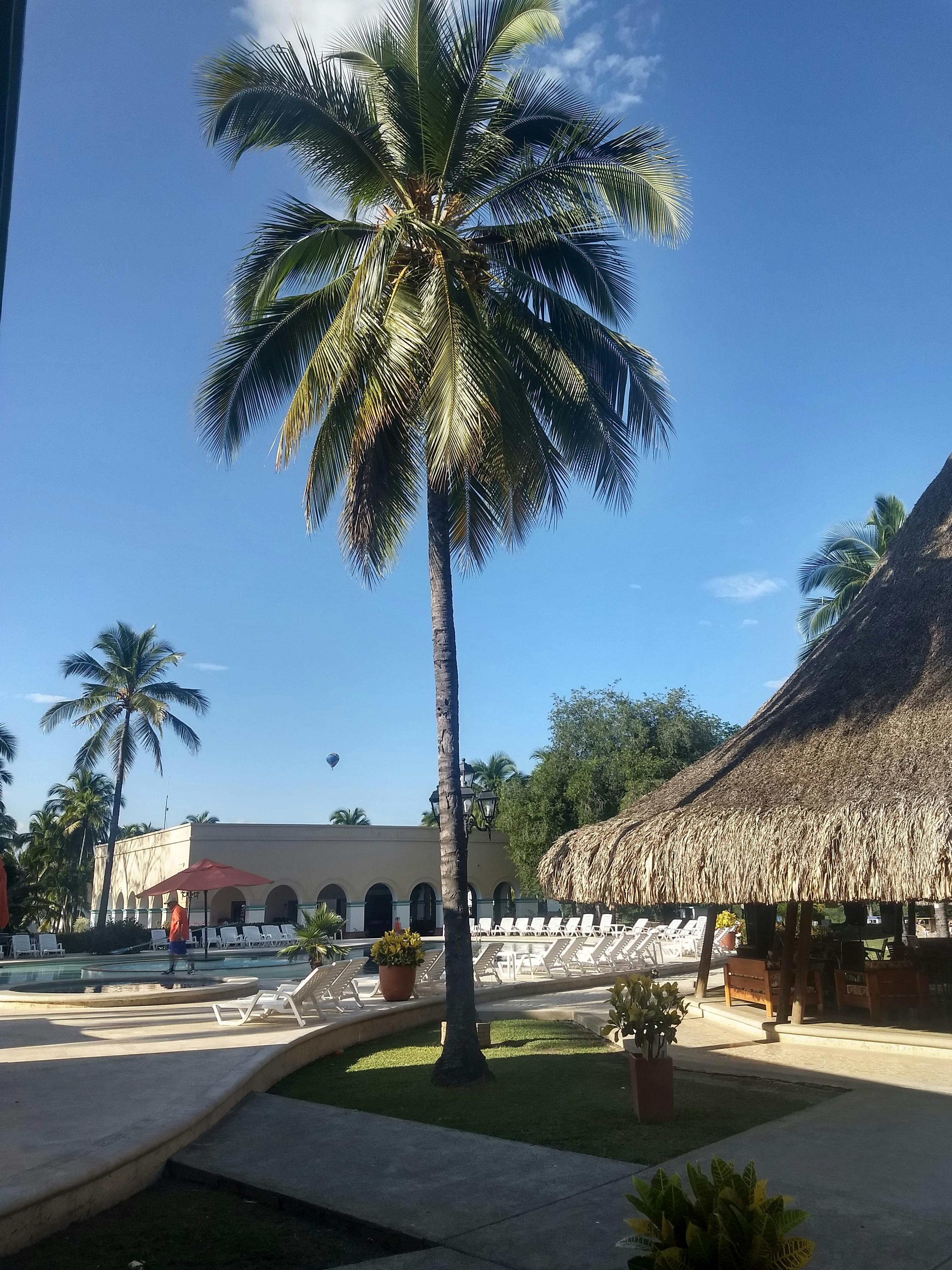 Fallout 4 – Ultimate Beginner’s Guide & First 50-Hour Experience (2025 ...