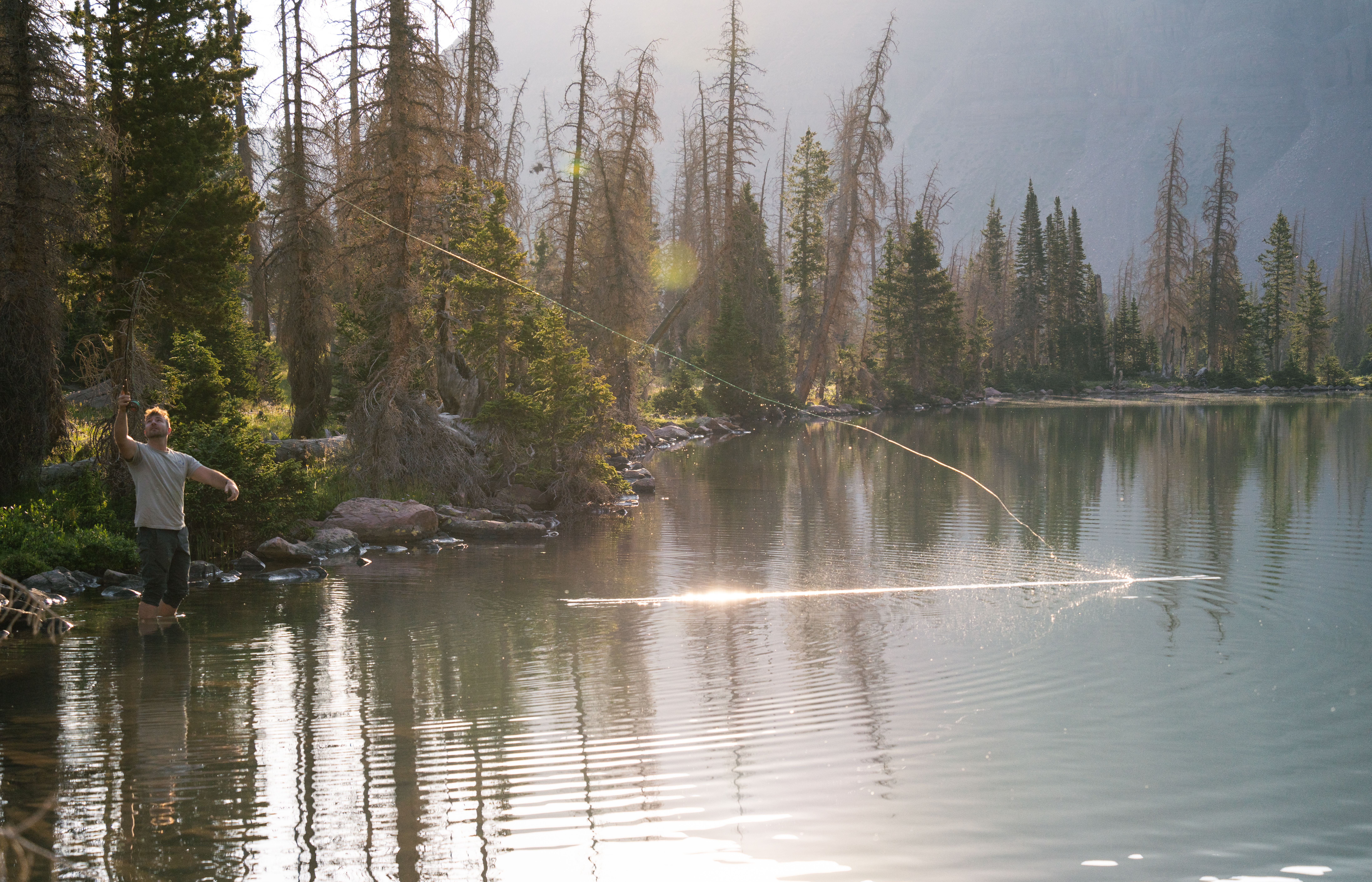 A man is fishing in a lake near trees · Free Stock Photo
