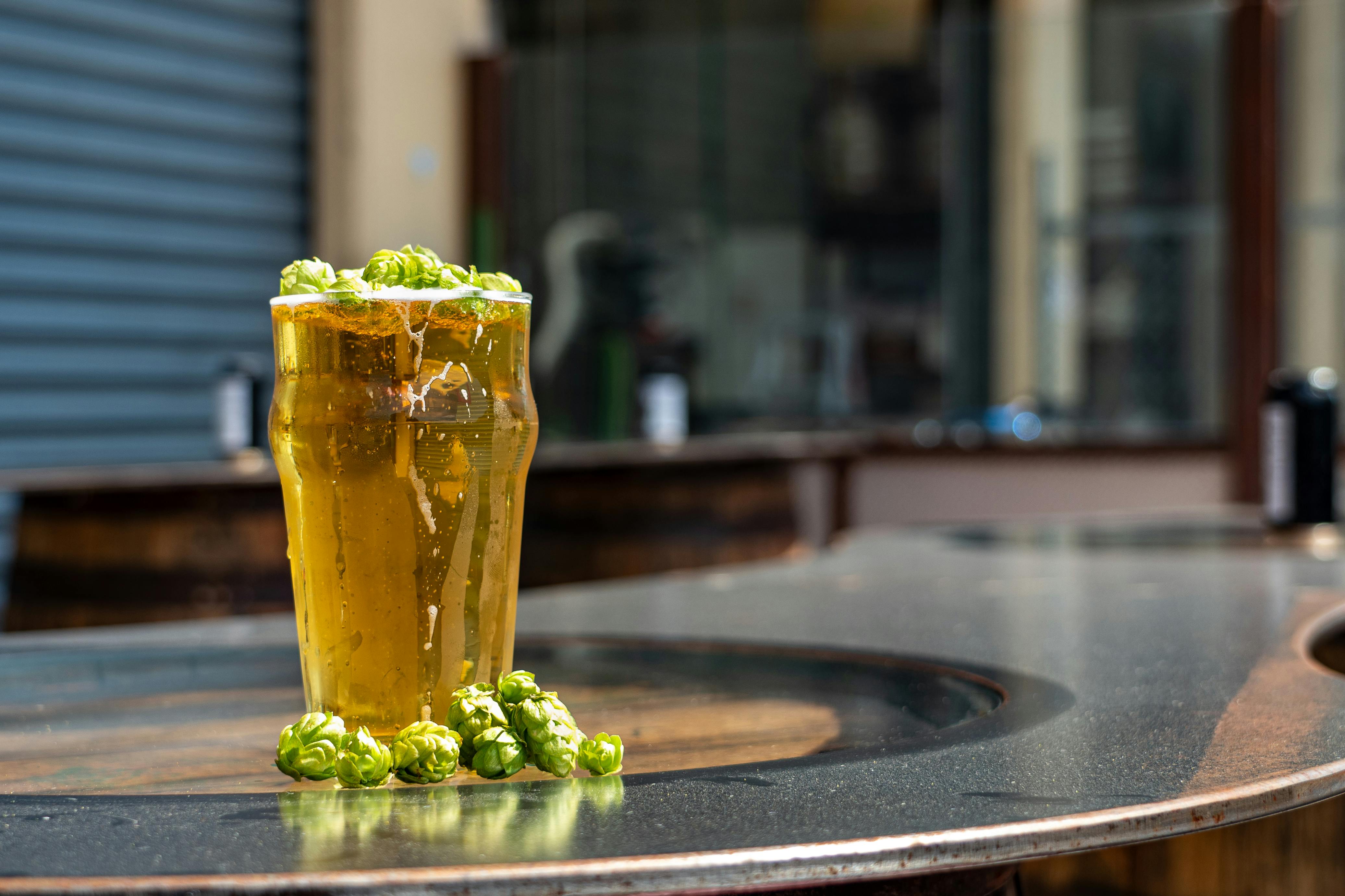 Tall Glass of Beer Decorated with Hops · Free Stock Photo