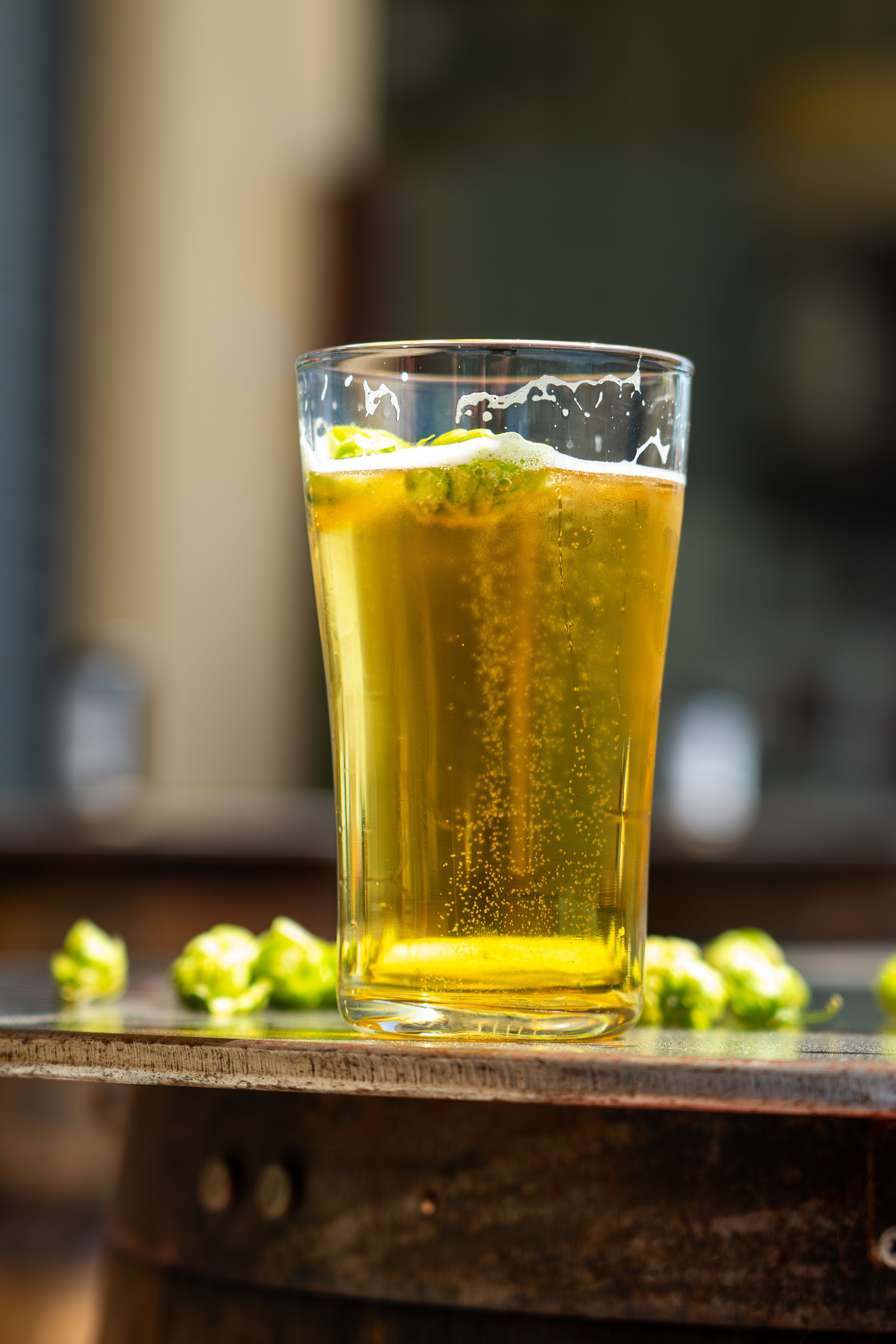 Foto de stock gratuita sobre al aire libre, alcohol, ale, ambiente de ...
