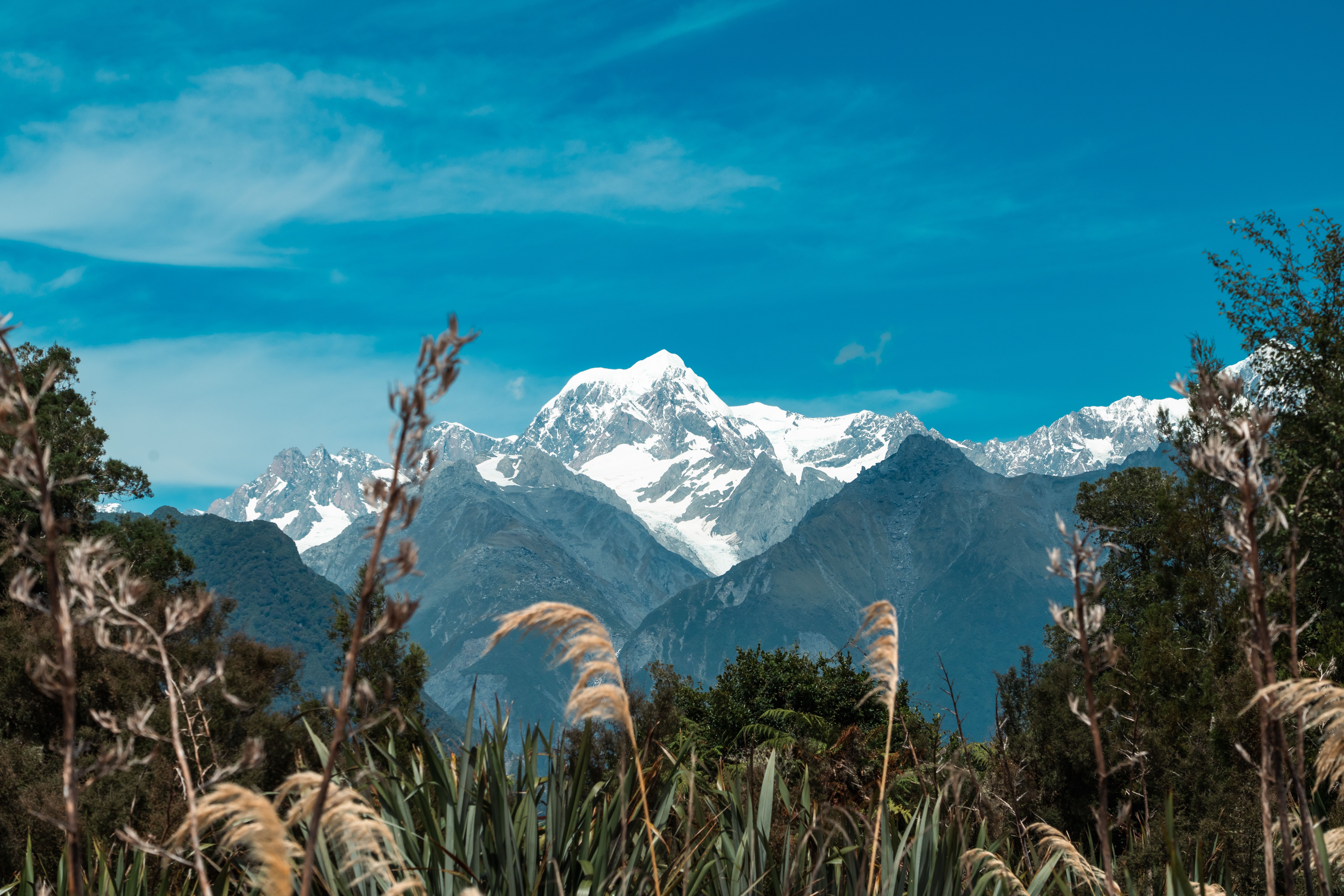 A view of mountains and grasses in the distance · Free Stock Photo